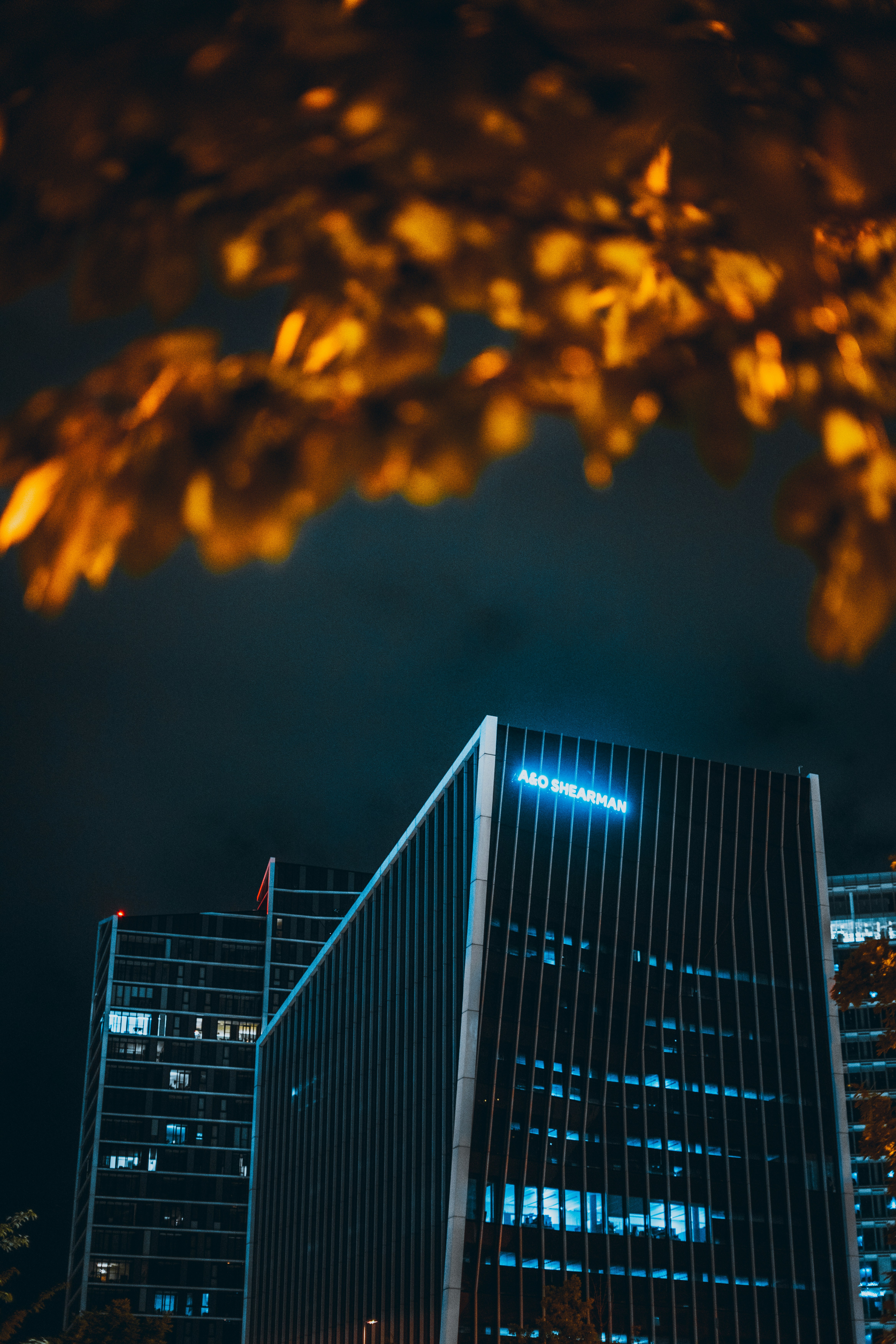 Azure Glass Tower Amid a Veil of Autumn Leaves