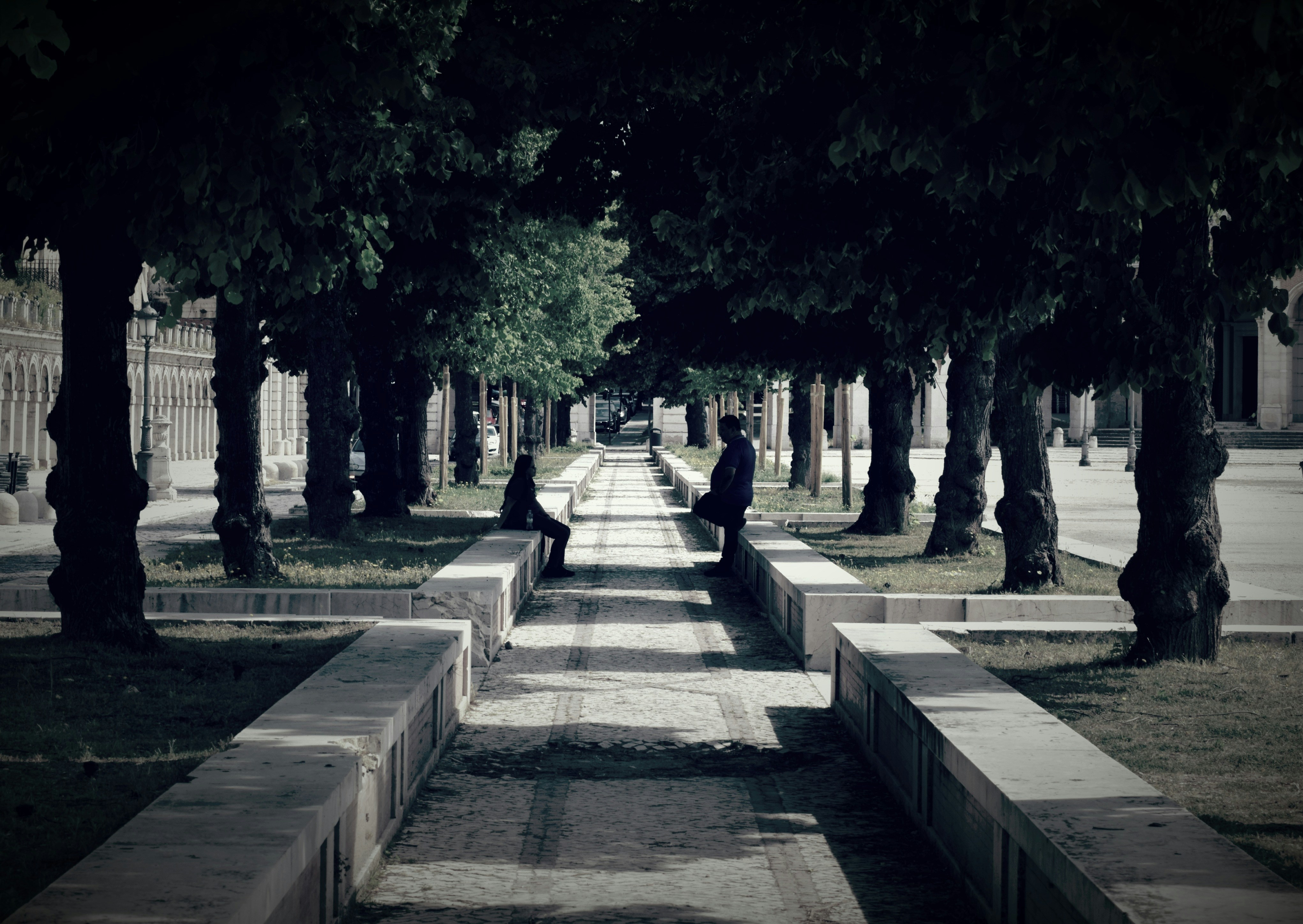 Whispers in the Shade