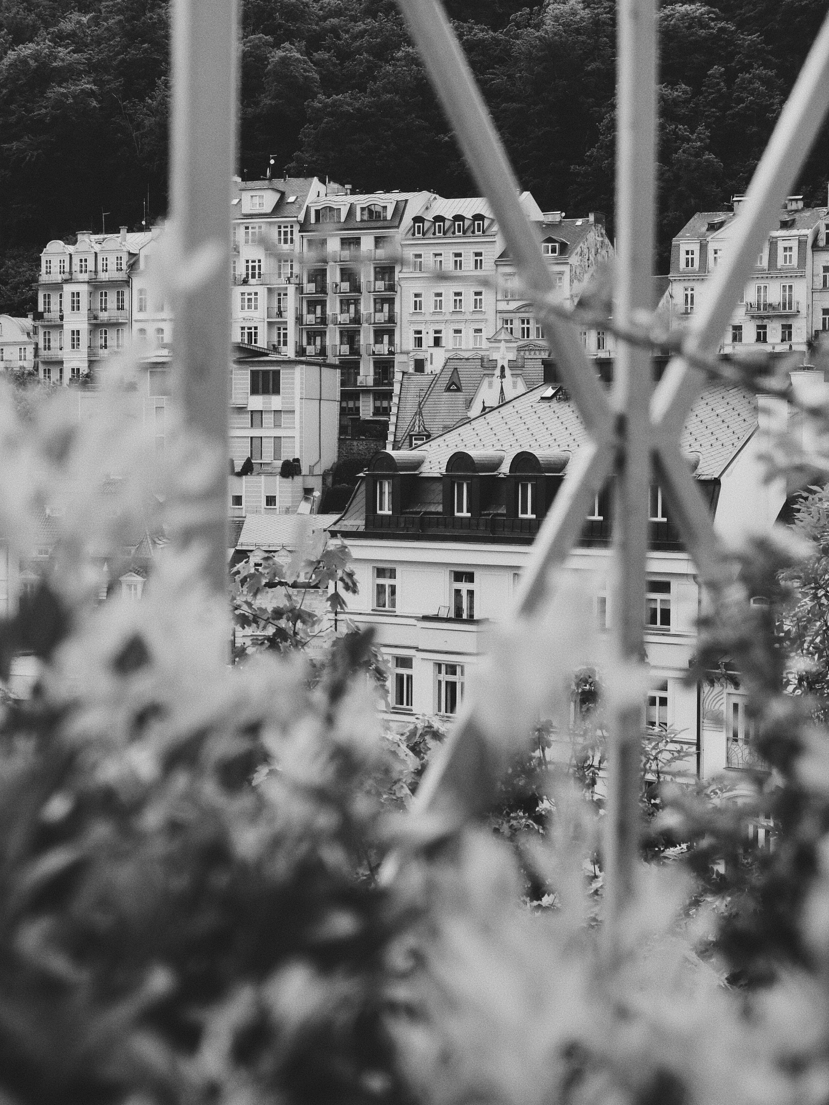 Cityscape Through Framing Rails