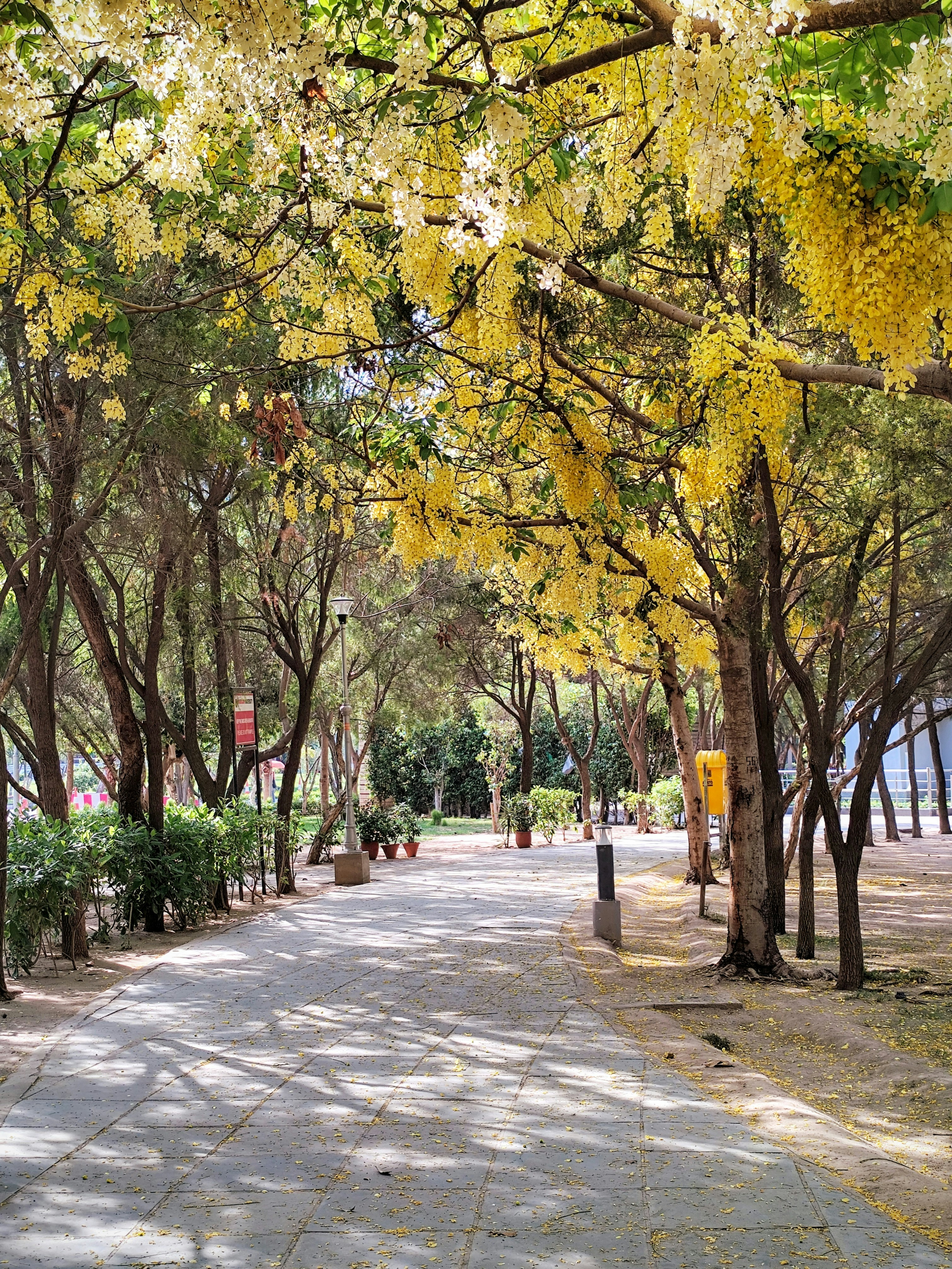 Photo by Tanu Prashad with Xiaomi Redmi Note 13 Pro