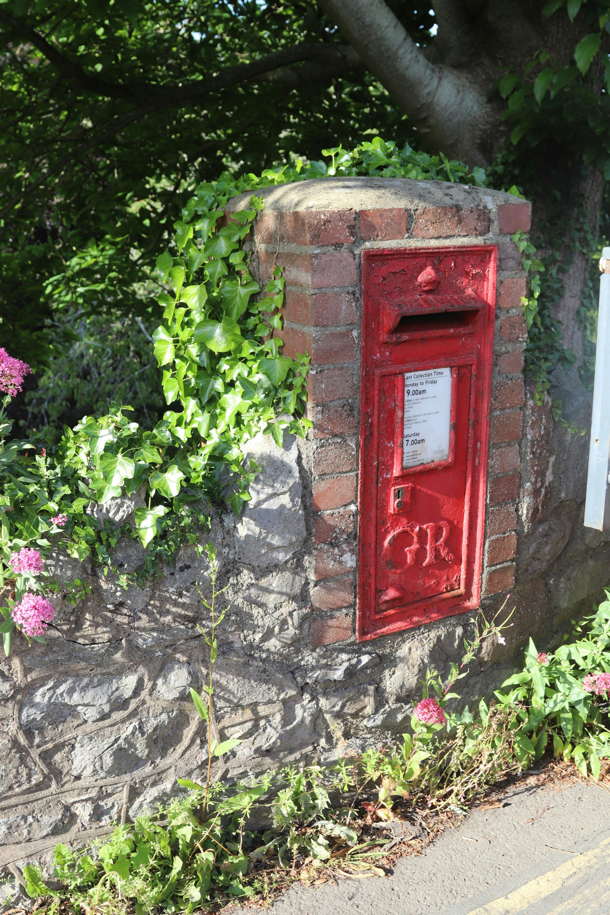 Crimson Mailbox Nestled in Ivy-Clad Brickwork