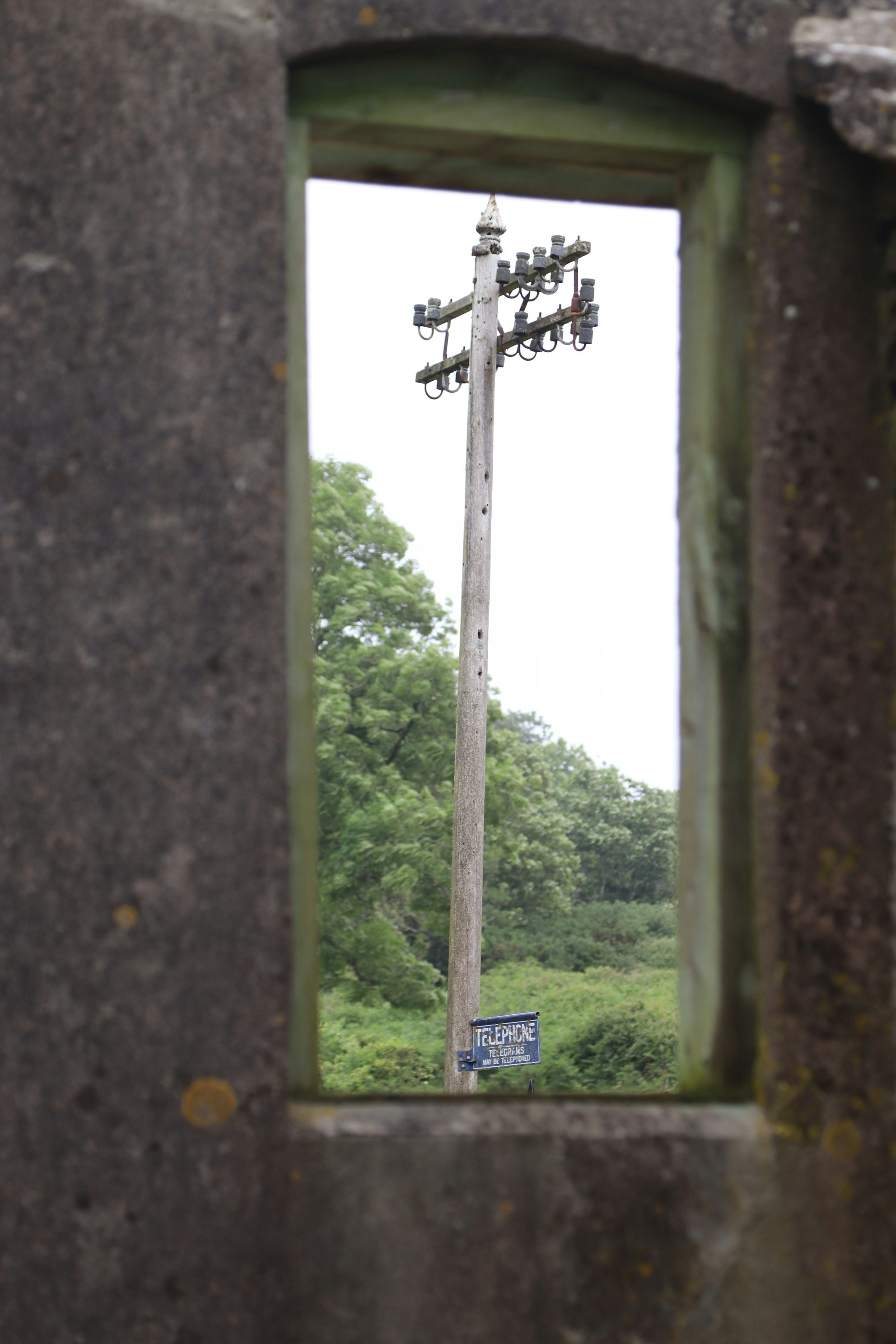 Through a Weathered Frame: Power Lines Beyond a Mossy Window