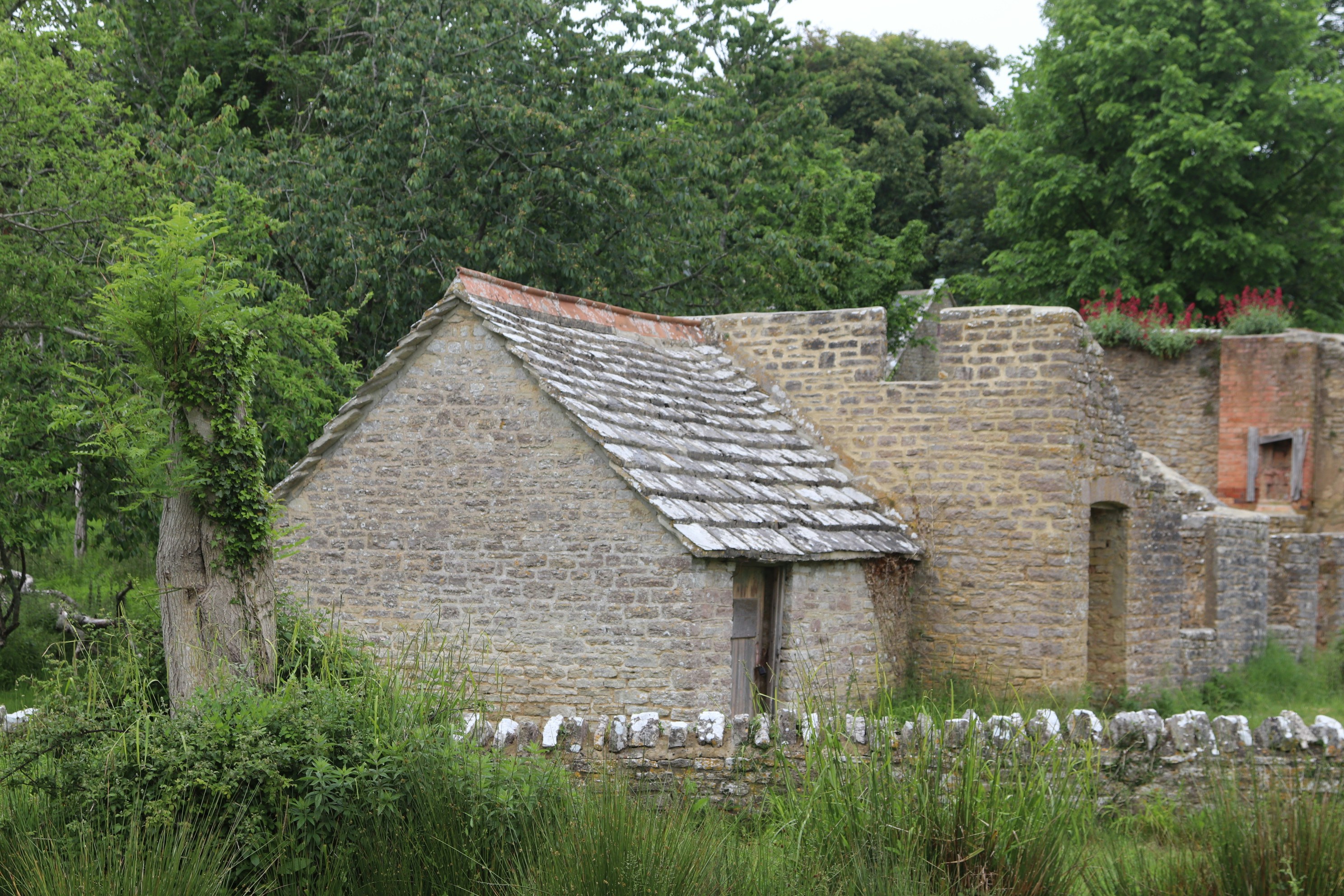 Photo by Tanya Barrow with Canon EOS 77D