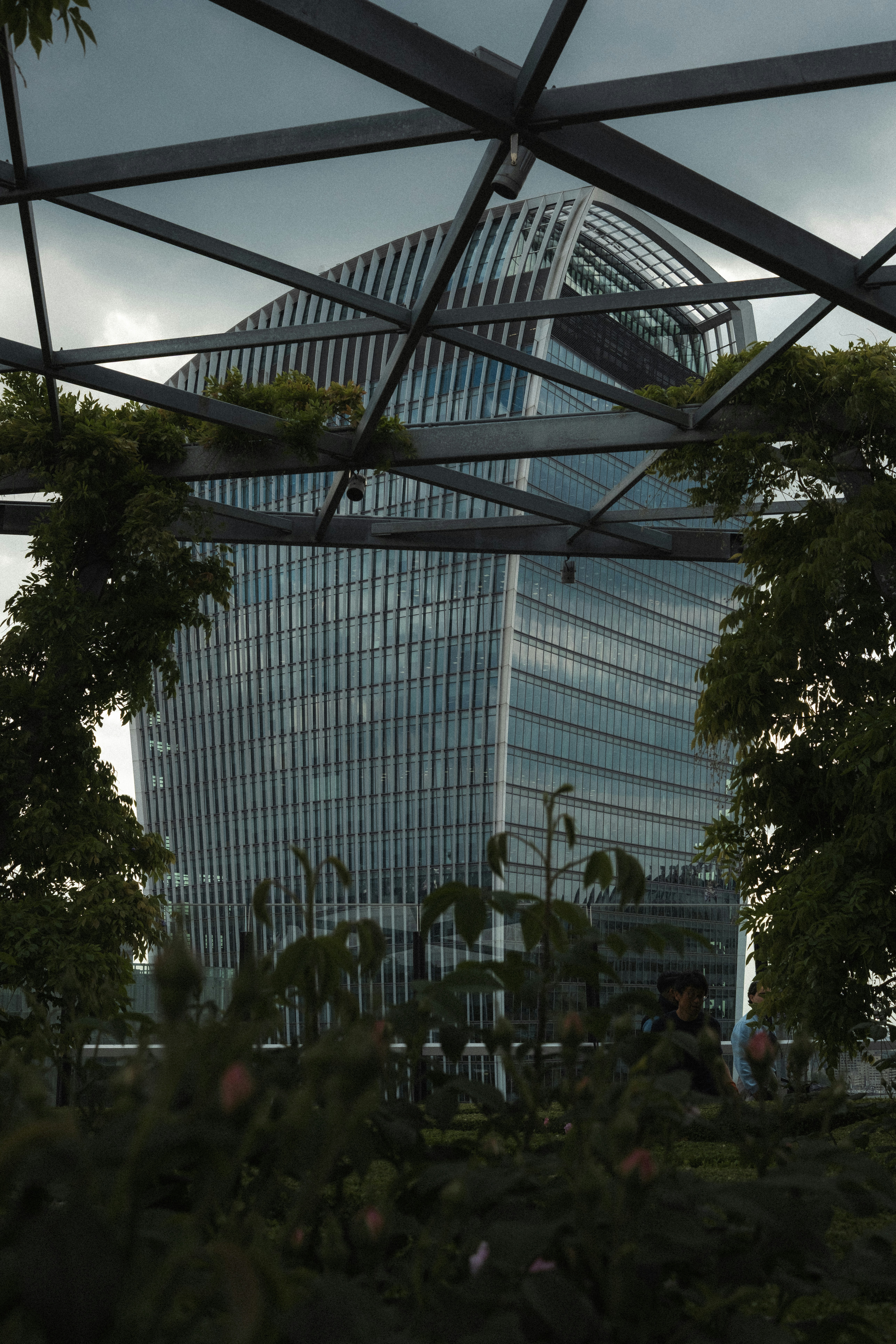 Glass Cathedral: A Towering Skyline Framed by Green Canopy