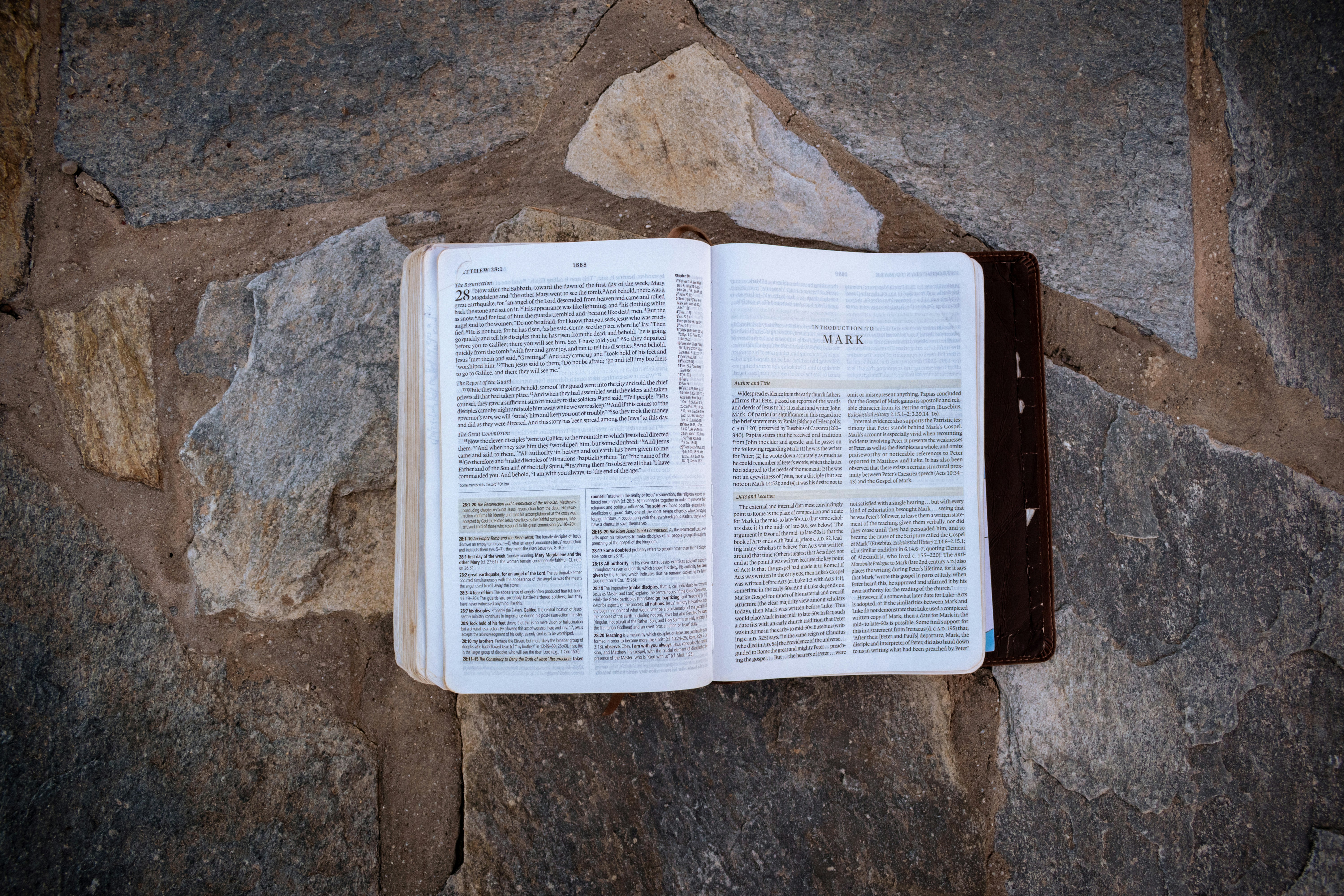 Wisdom Unfolded: A Journey Through Text