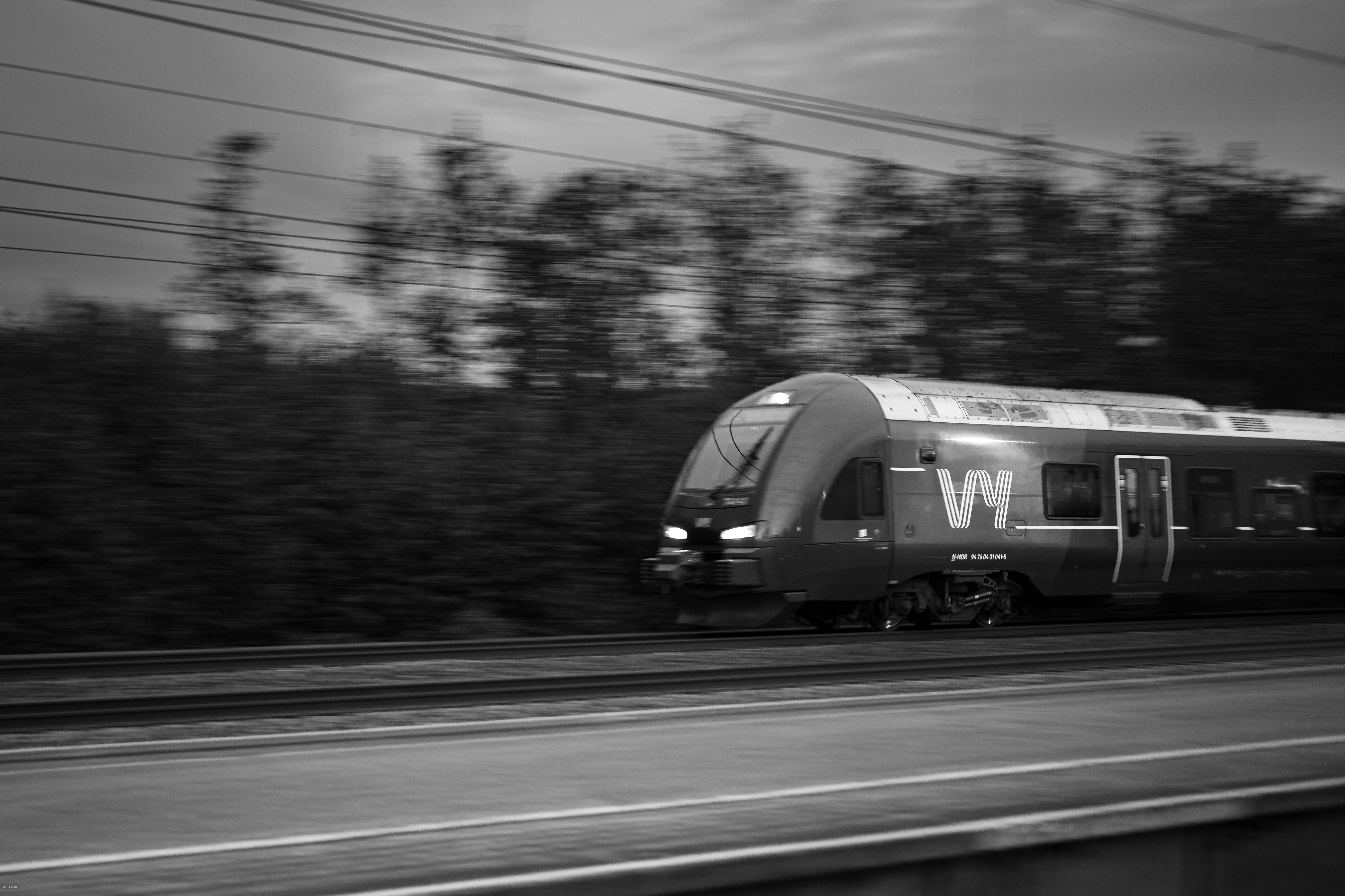 Velocity in Monochrome: The Journey of Motion