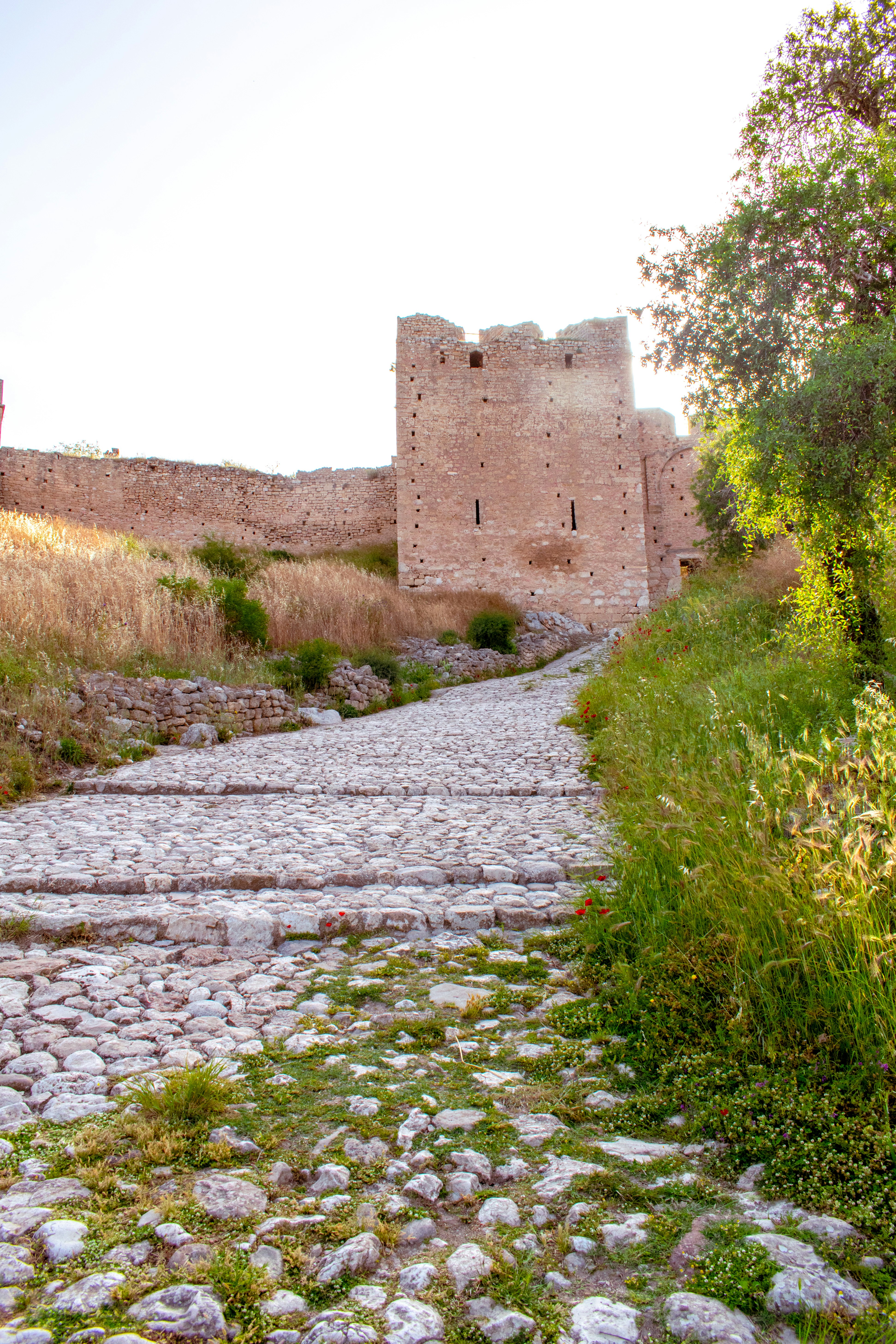 A winding cobblestone path leads towards an ancient stone fortress, surrounded by lush greenery and golden grasses under a bright sky.