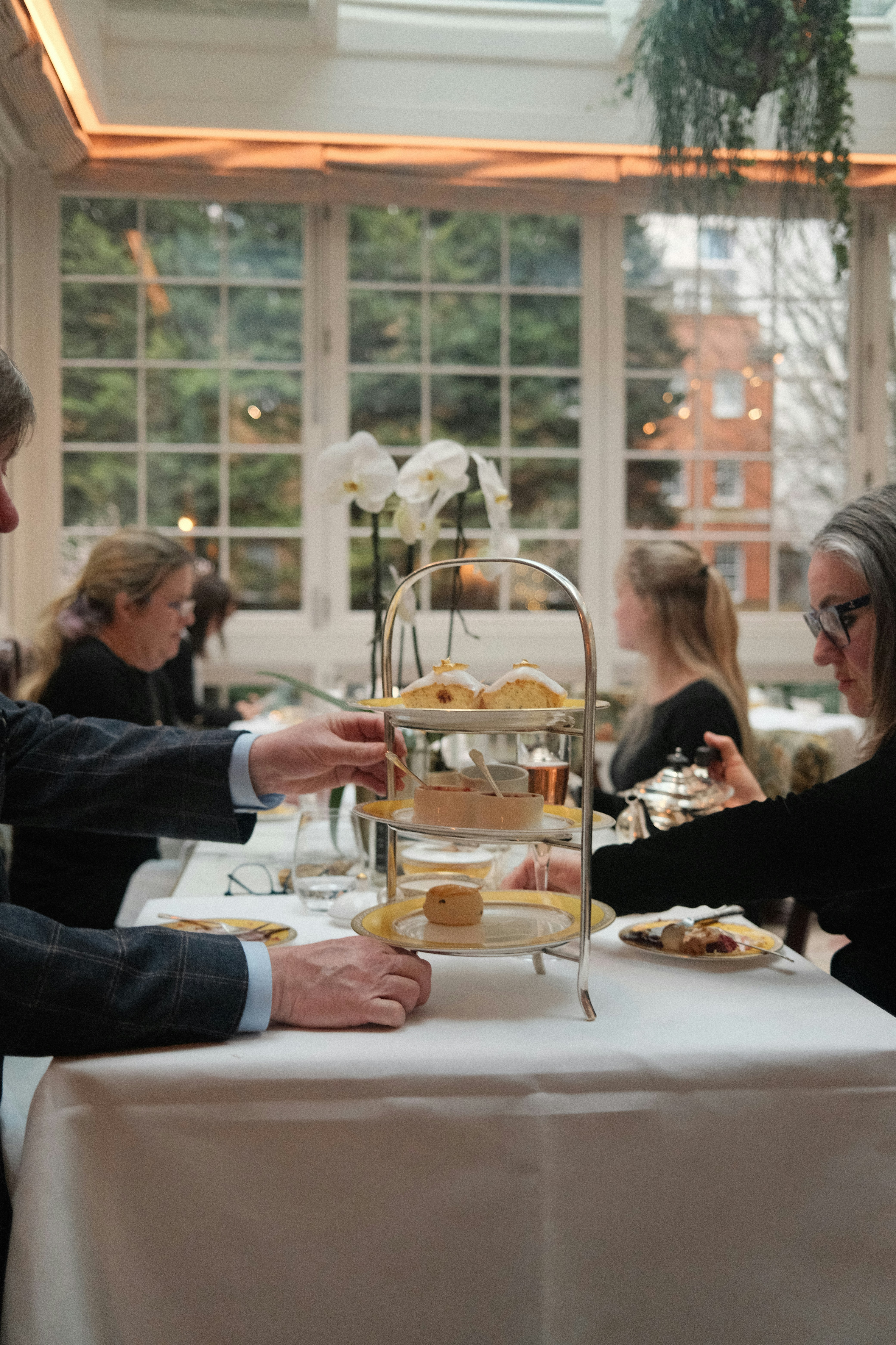 A Quiet Tea Service: Afternoon in the Conservatory