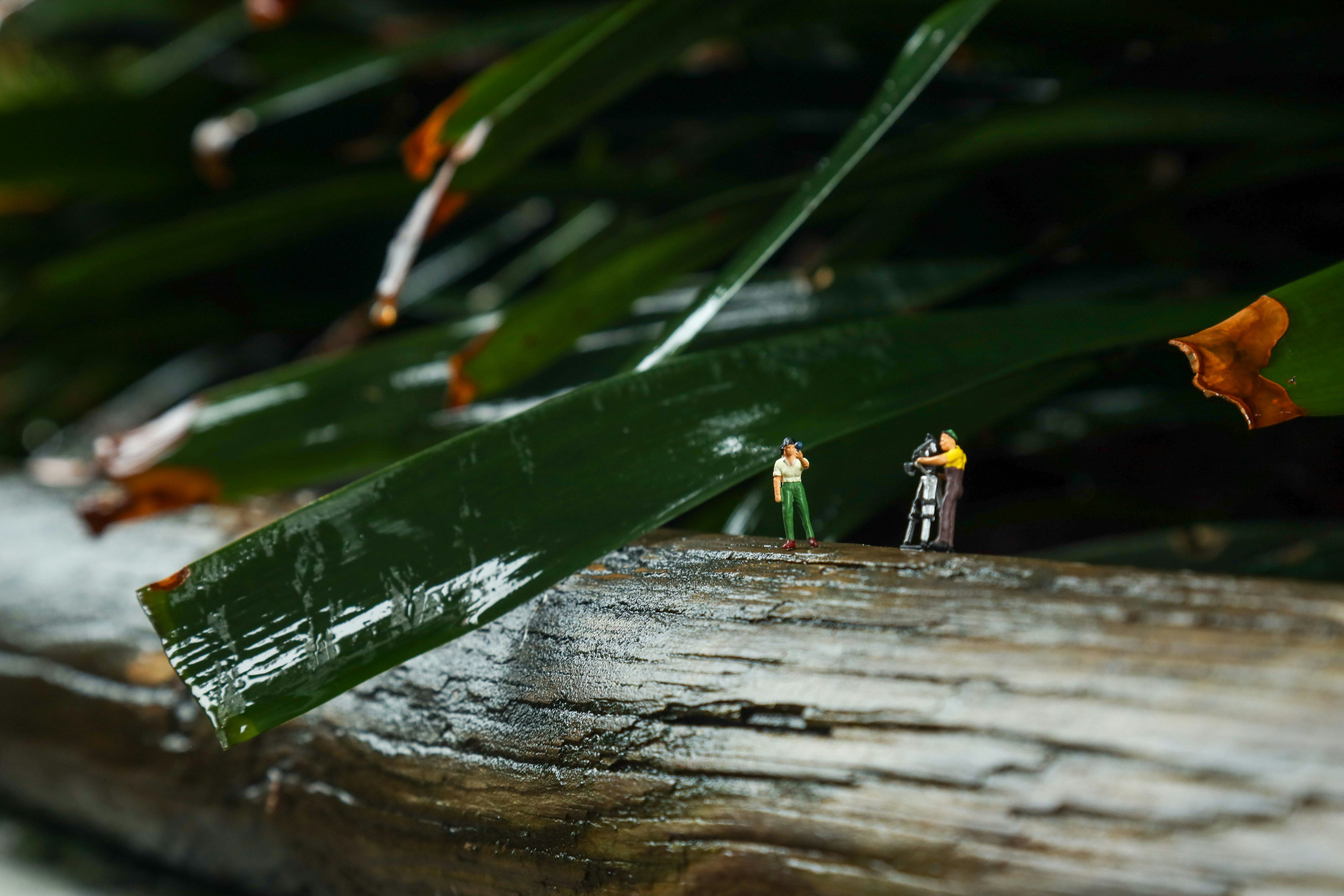 Photo by Blake Staniland with Canon EOS R