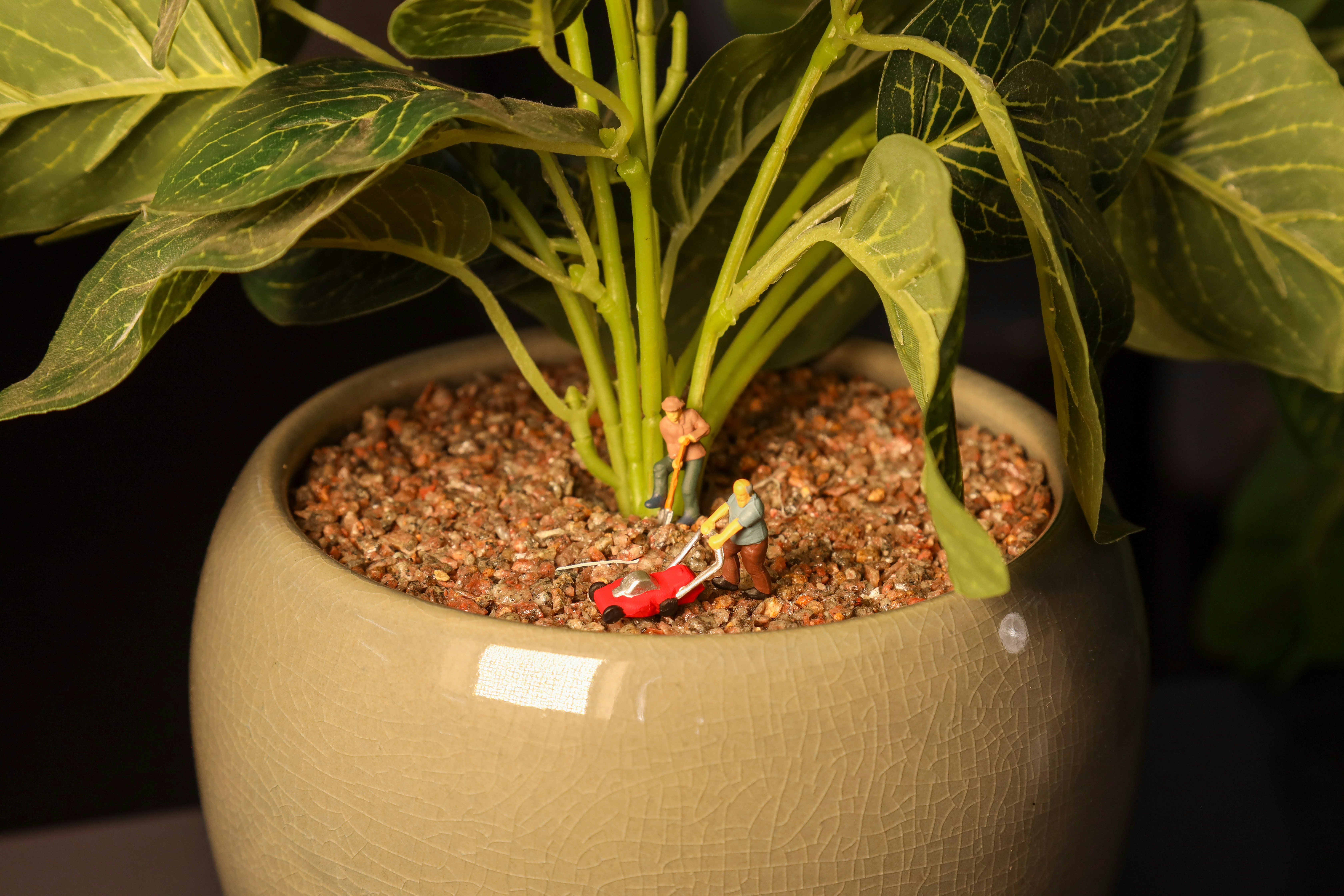 Tiny Mountaineers on a Potted Plant
