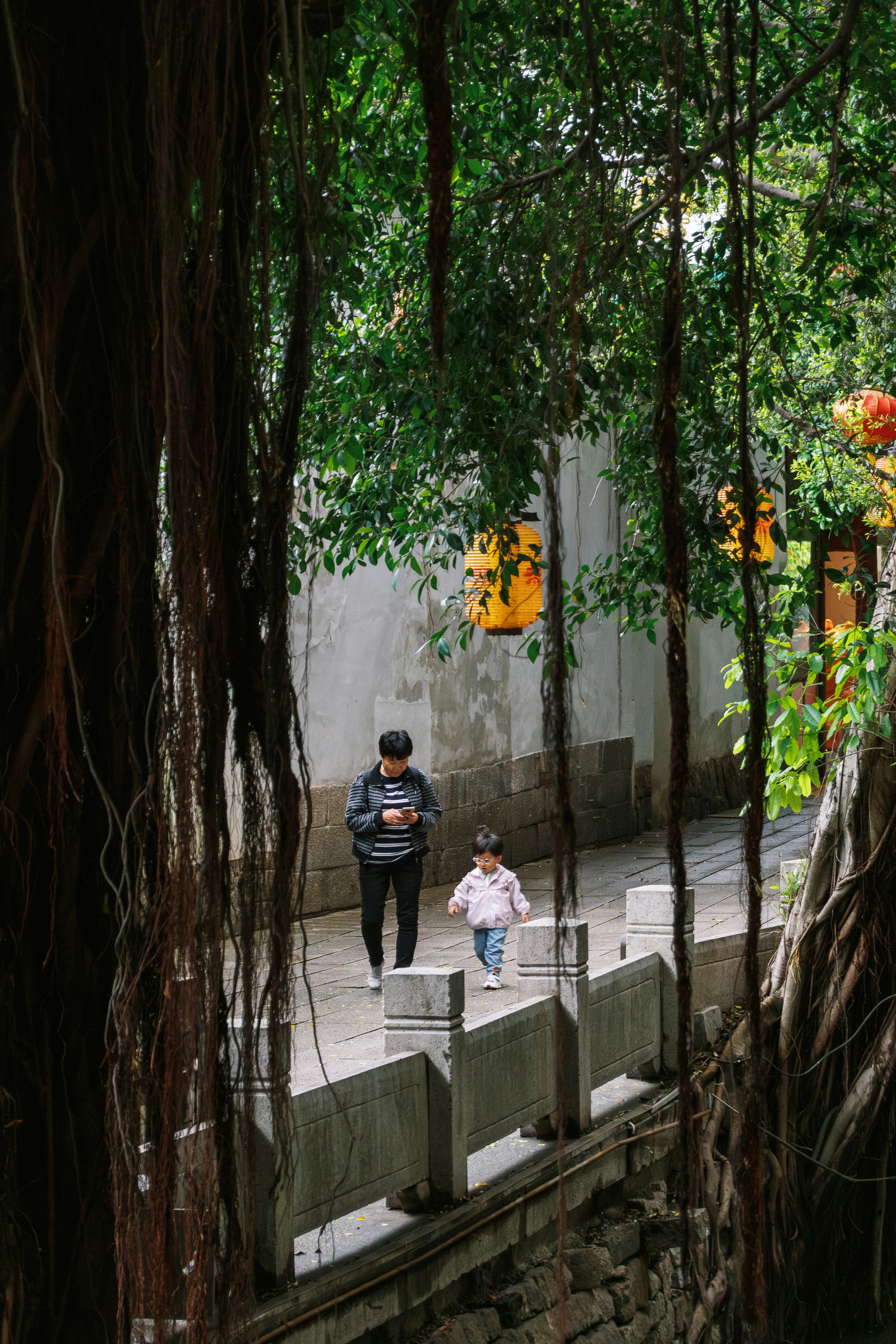 A parent and child walk on a path. photo – Free Fuzhou Image on Unsplash