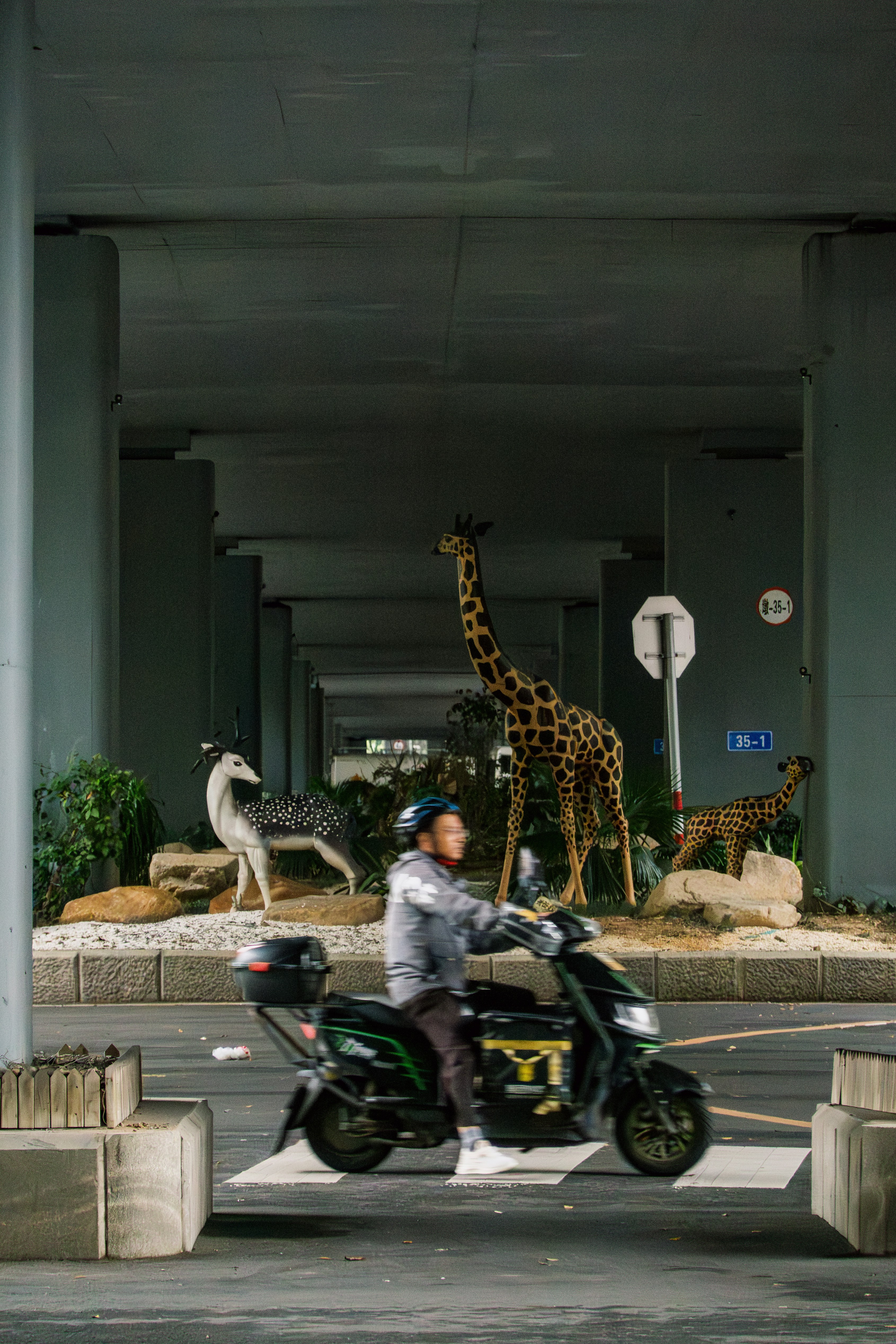 Urban Safari: A Whimsical Encounter