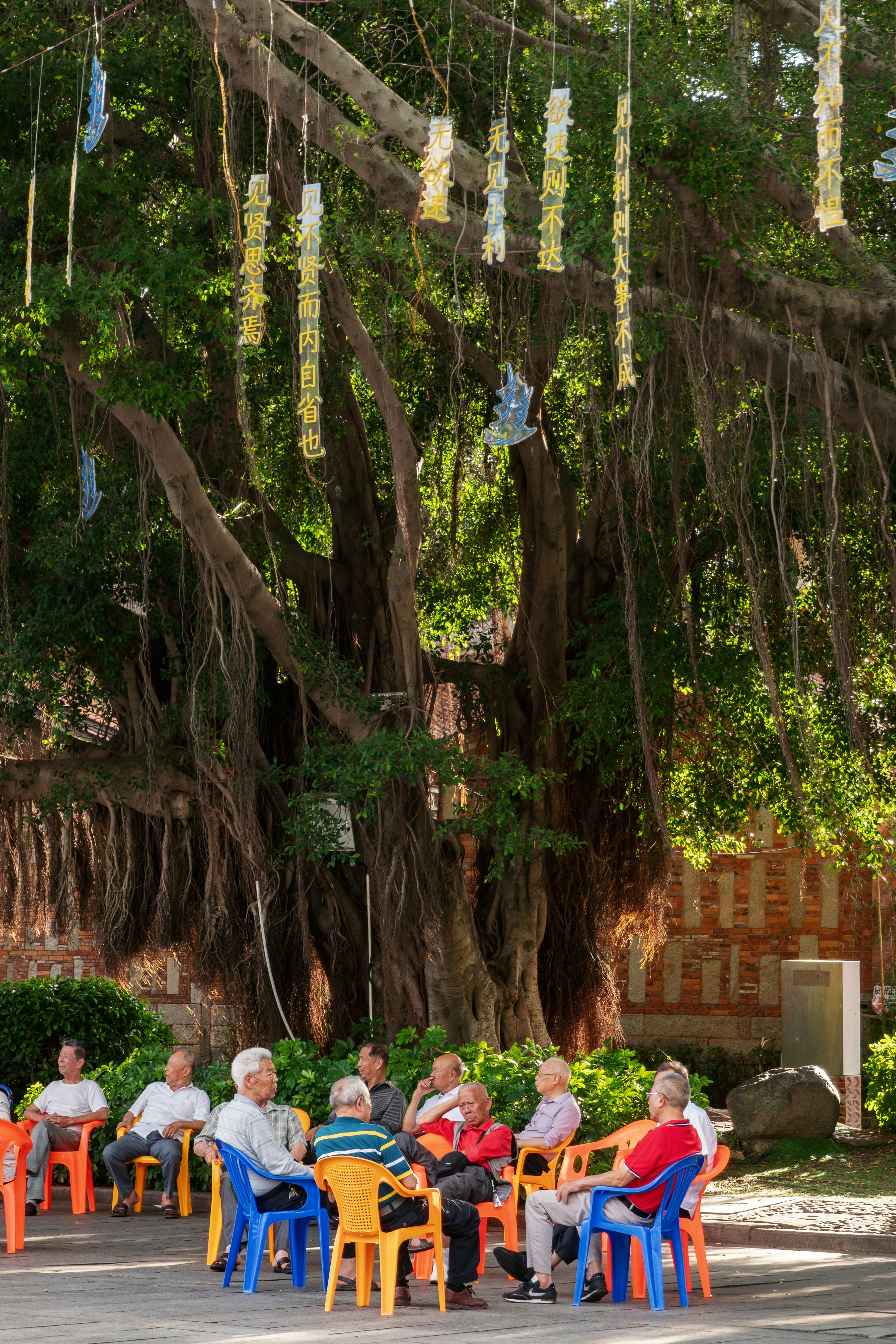 Beneath the Banyan: A Colorful Circle of Conversation