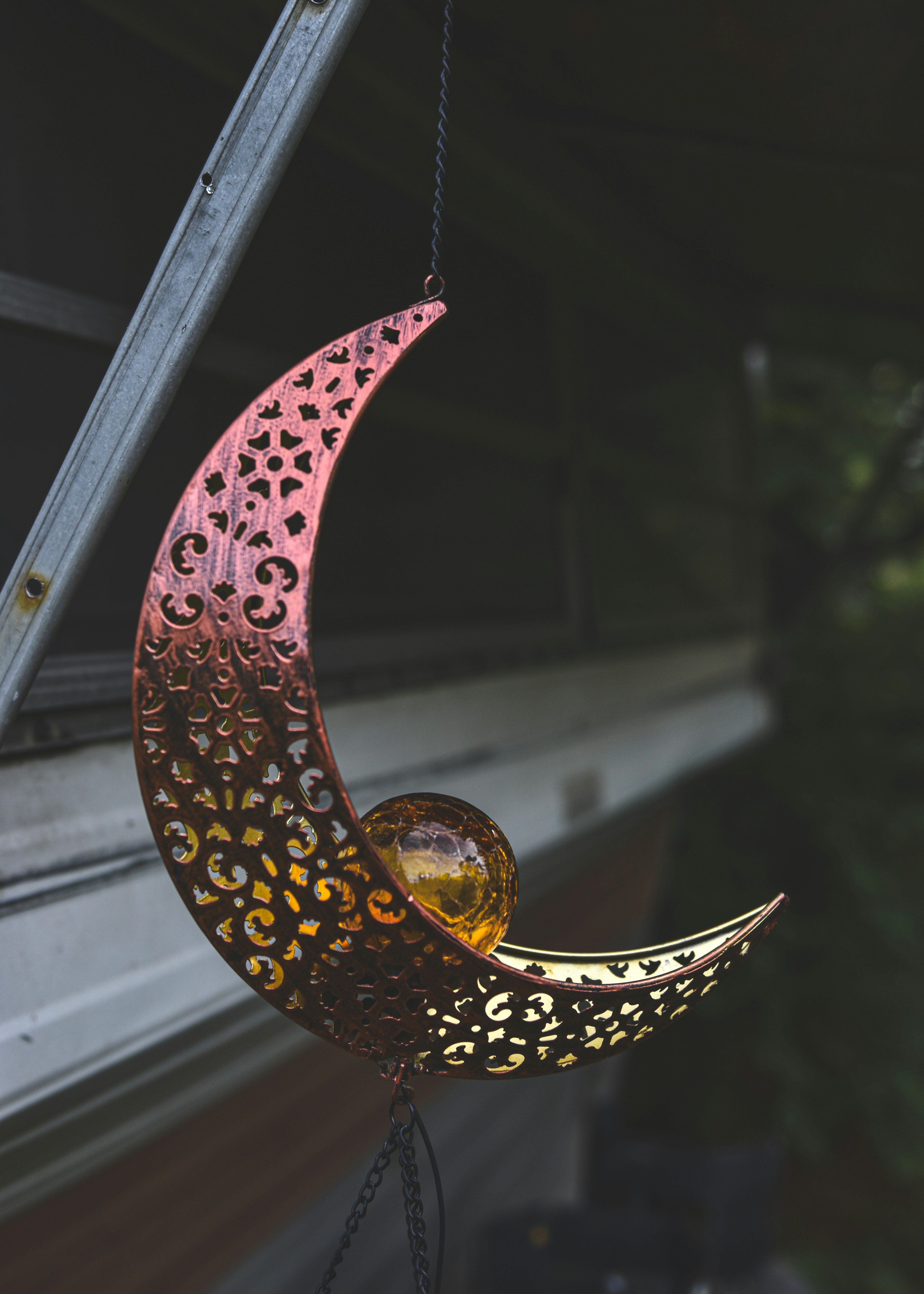 Lunar Elegance: A Dance of Light and Shadow