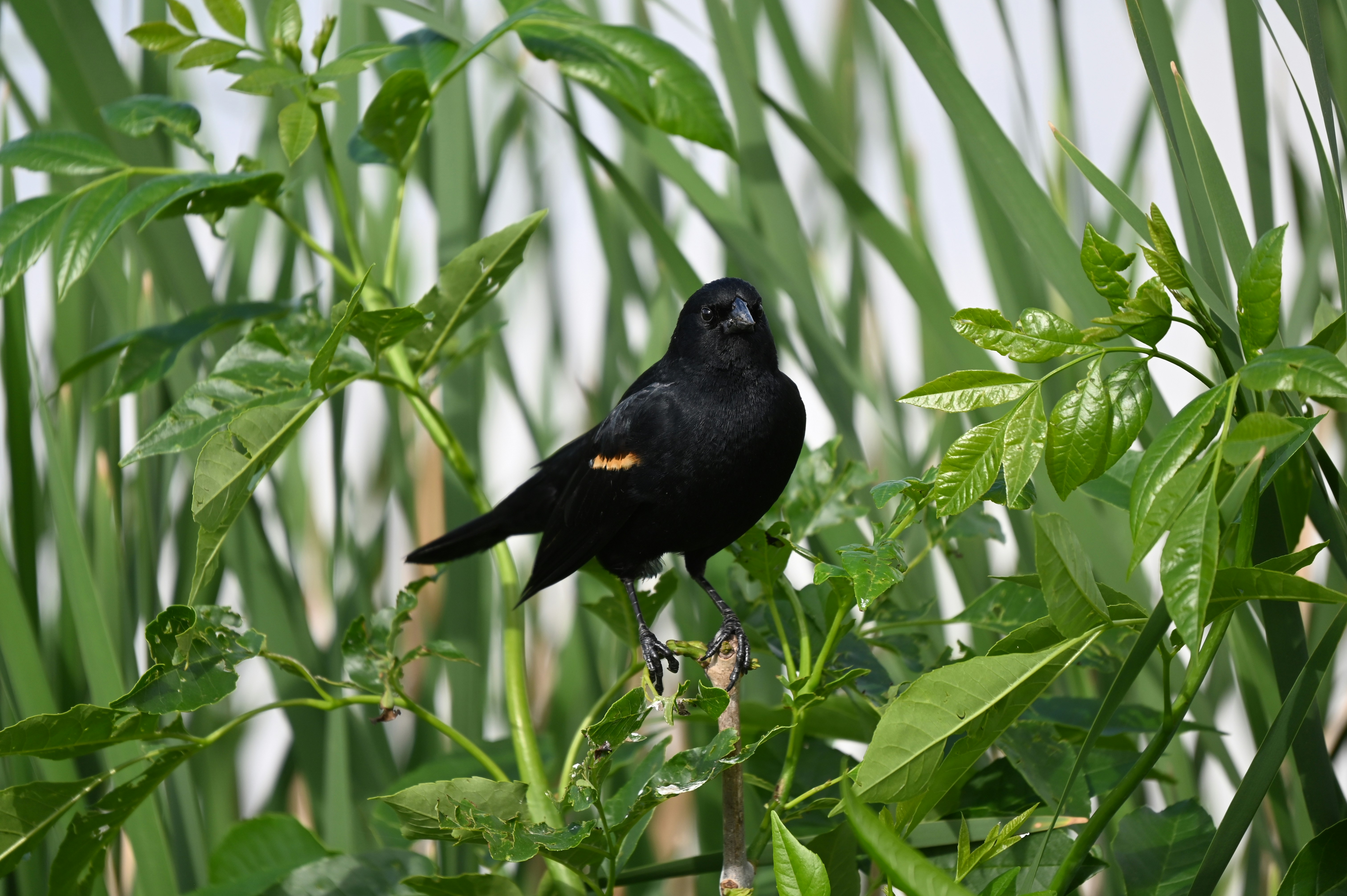 Photo by Gennady Zakharin with Nikon Z6