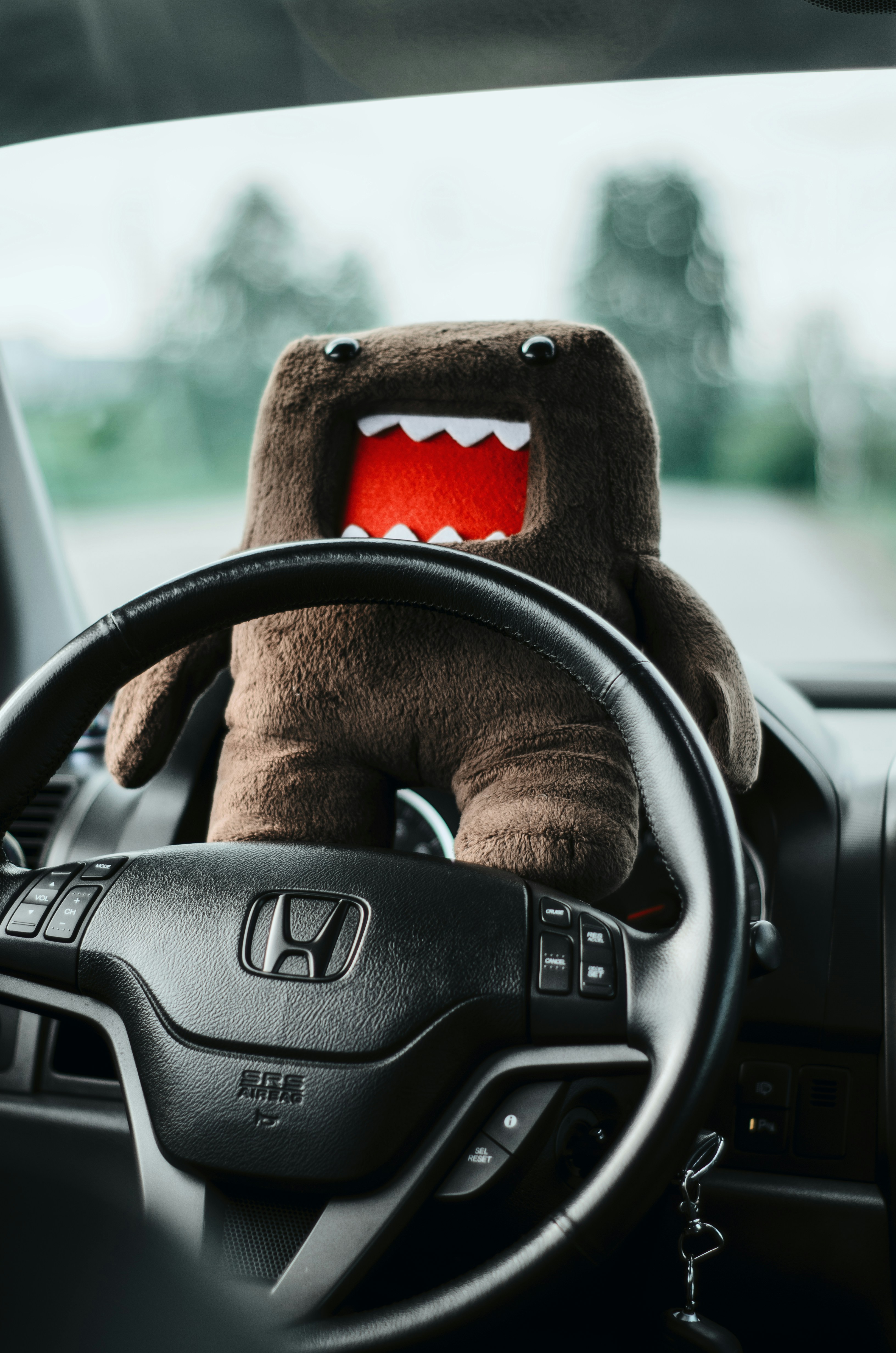 Domo at the Helm: A Plush Co-Pilot in a Honda Cockpit