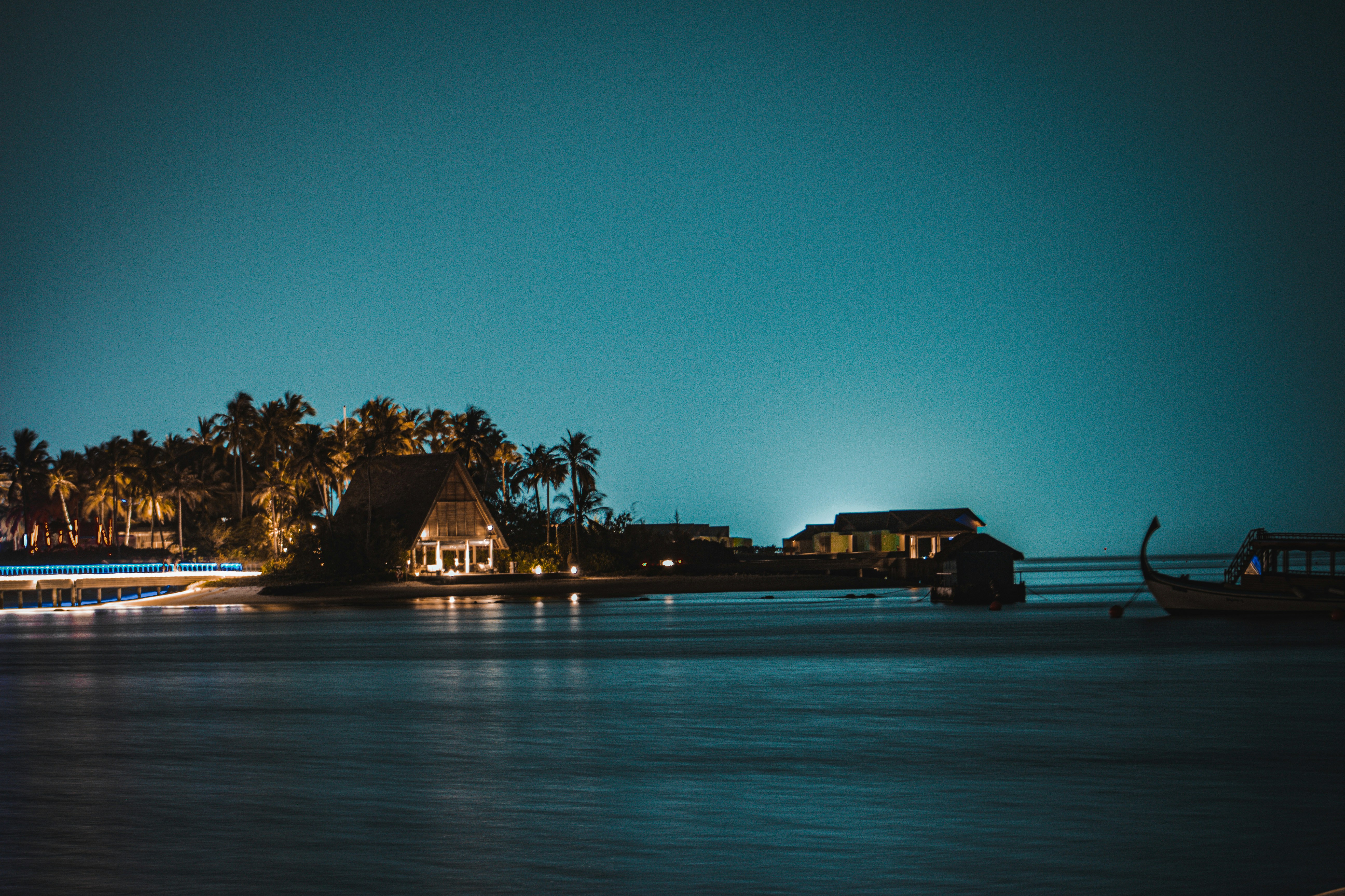 A tranquil seaside scene showcasing illuminated structures amidst palm trees under a starry night sky.