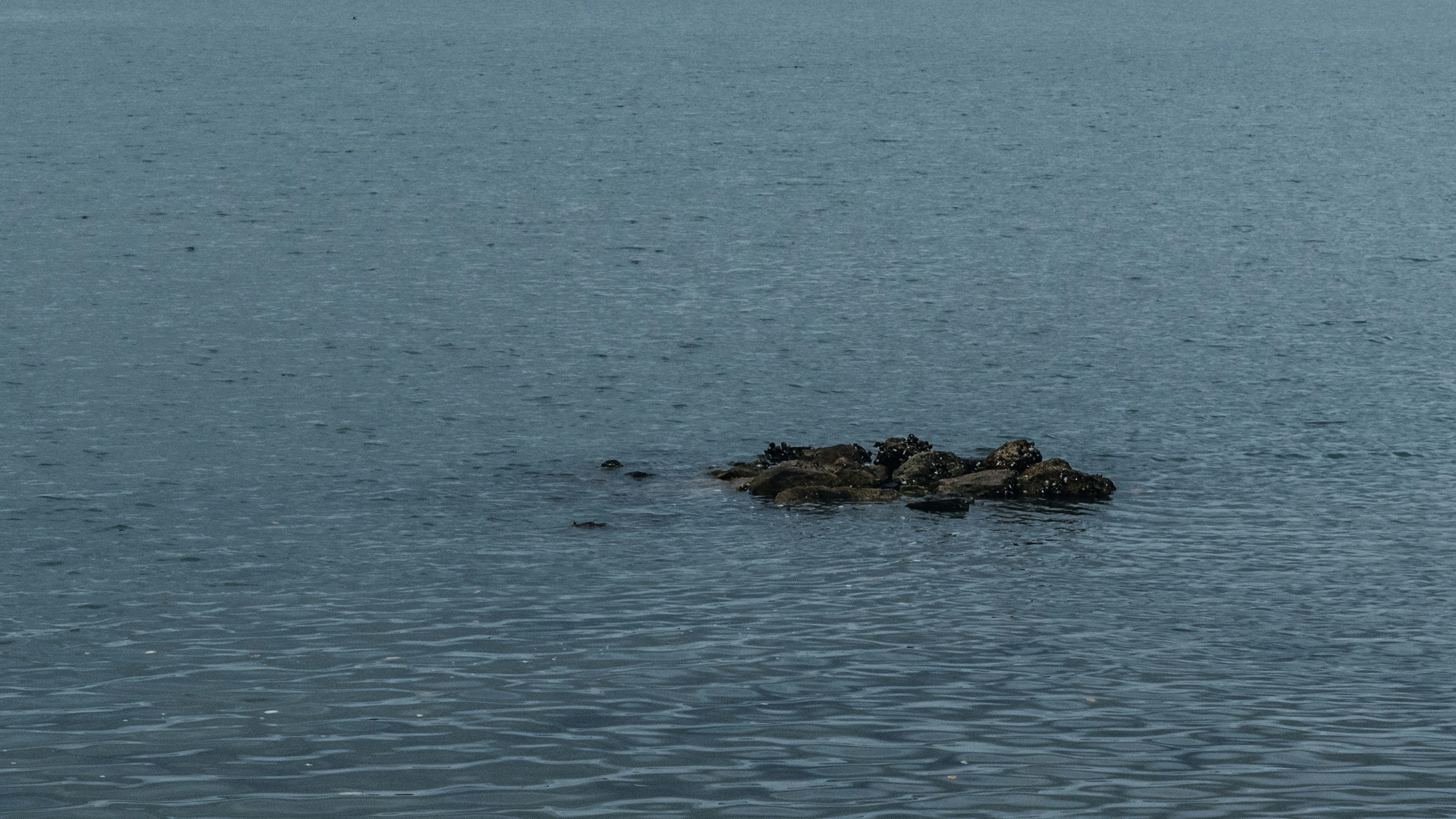 A small rocky island sits in the calm water.