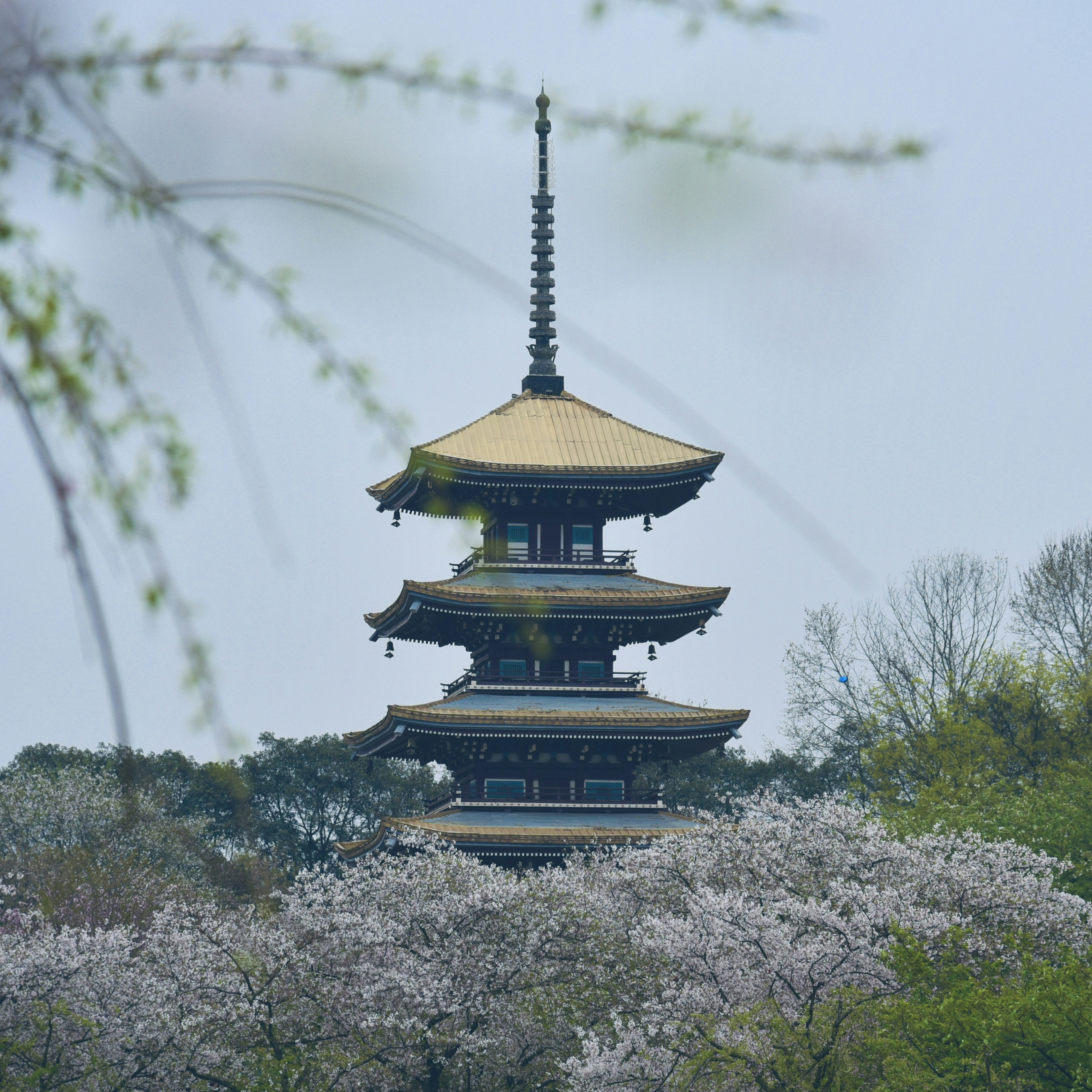 Petal Crowned Pagoda: A Five-Tier Shrine Rising Through Spring Sakura