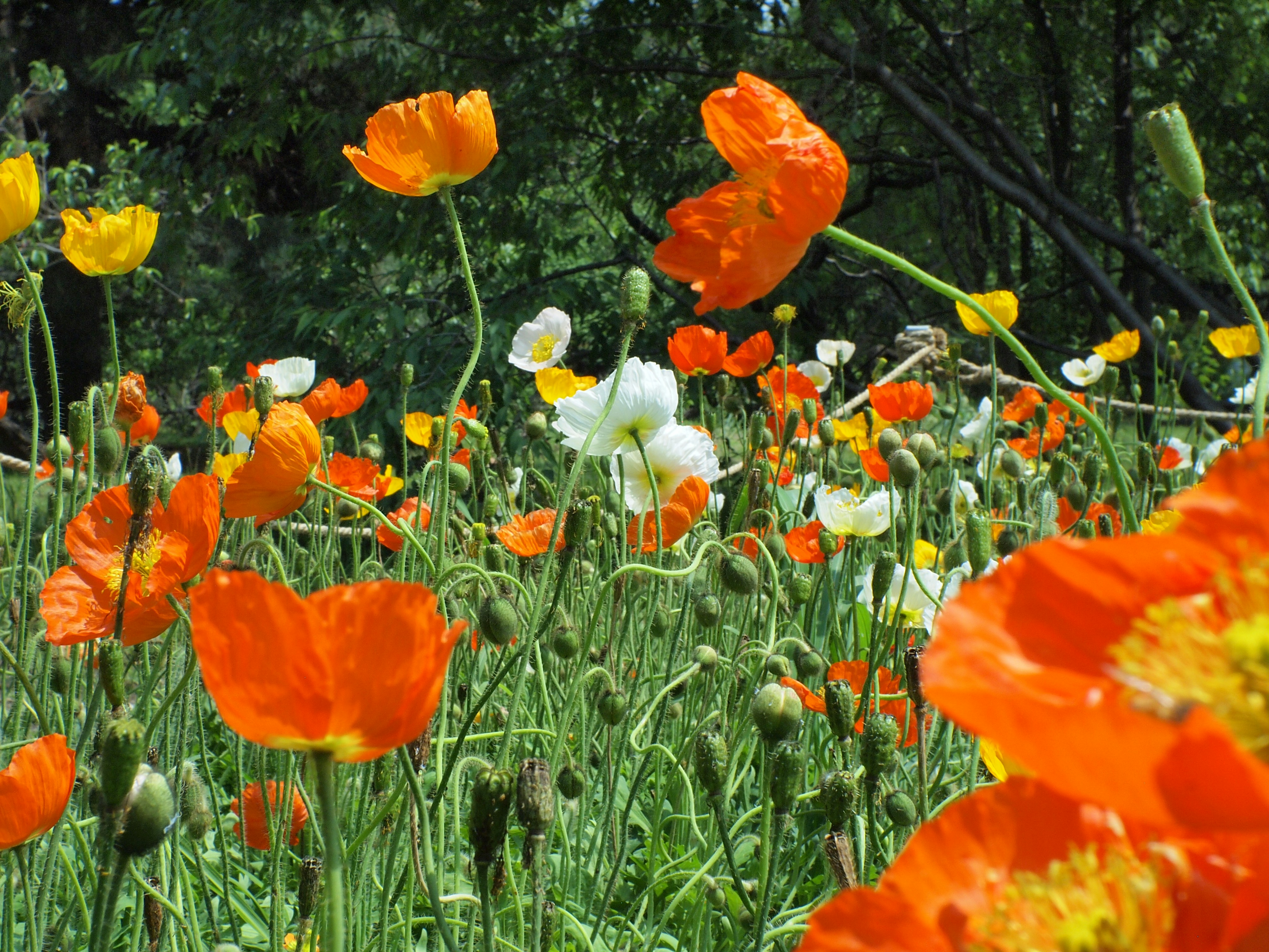 A popular science activity about the anti-drug exhibition