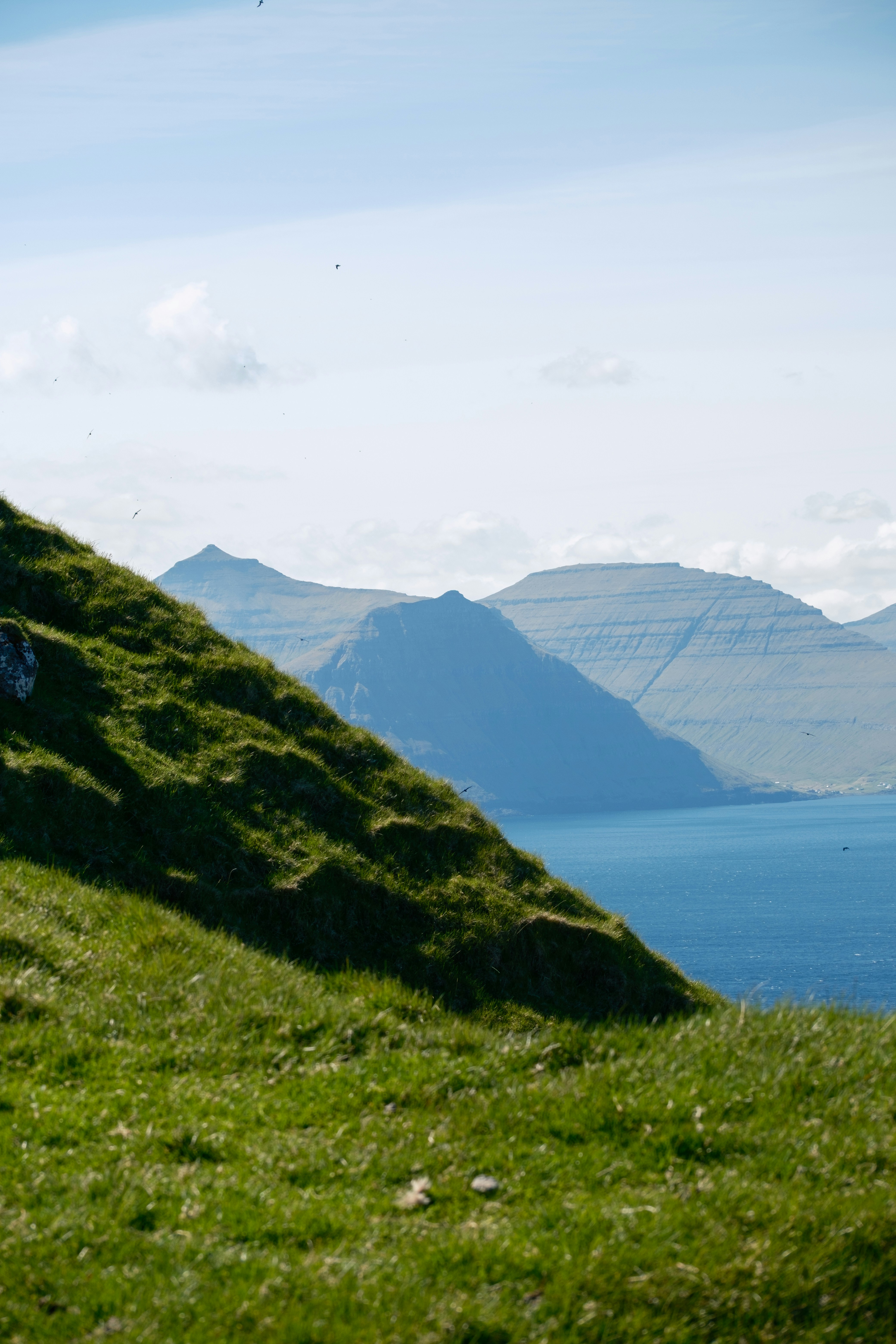 Green Slope, Blue Fjord: A Quiet Coastal Panorama