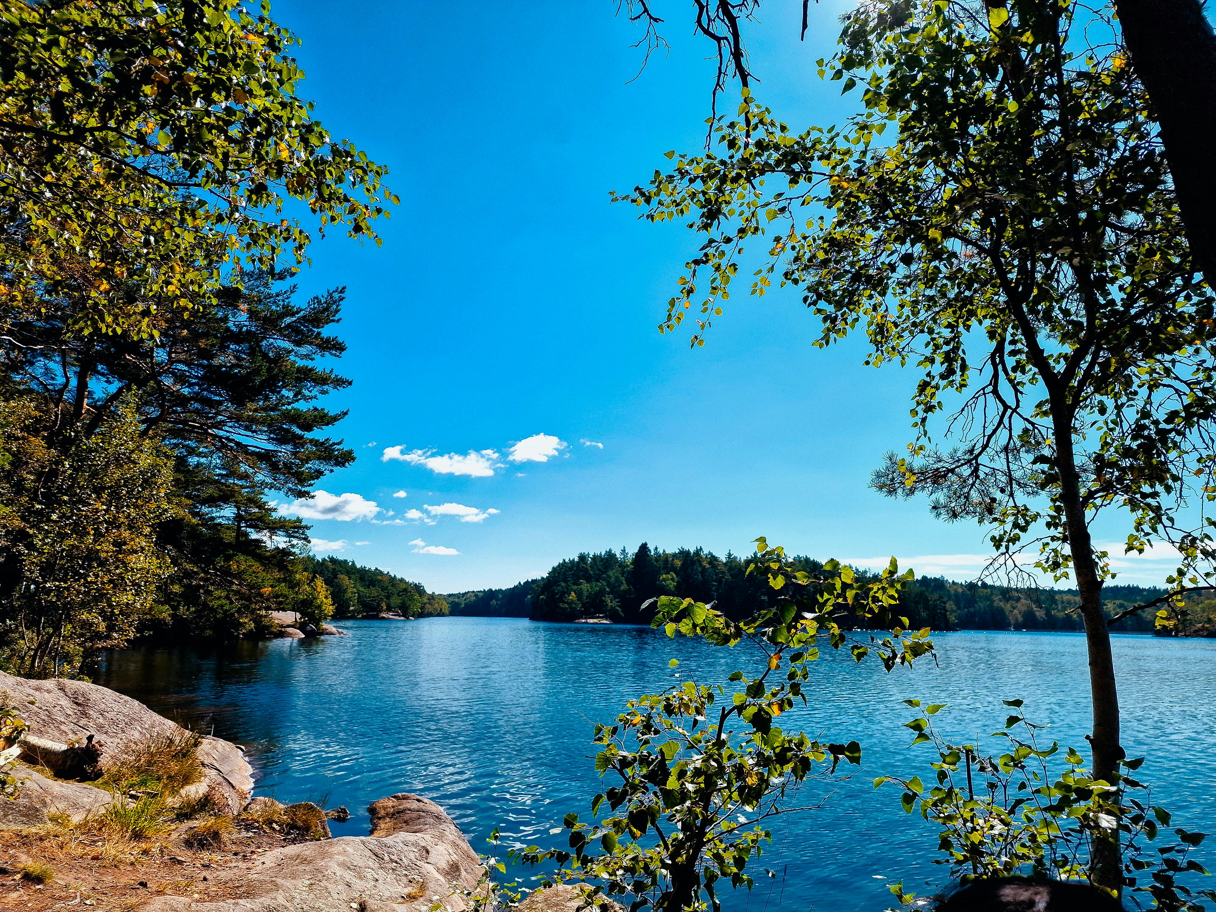 Beautiful lake view on a sunny day in summer | A blue lake surrounded by lush green trees.