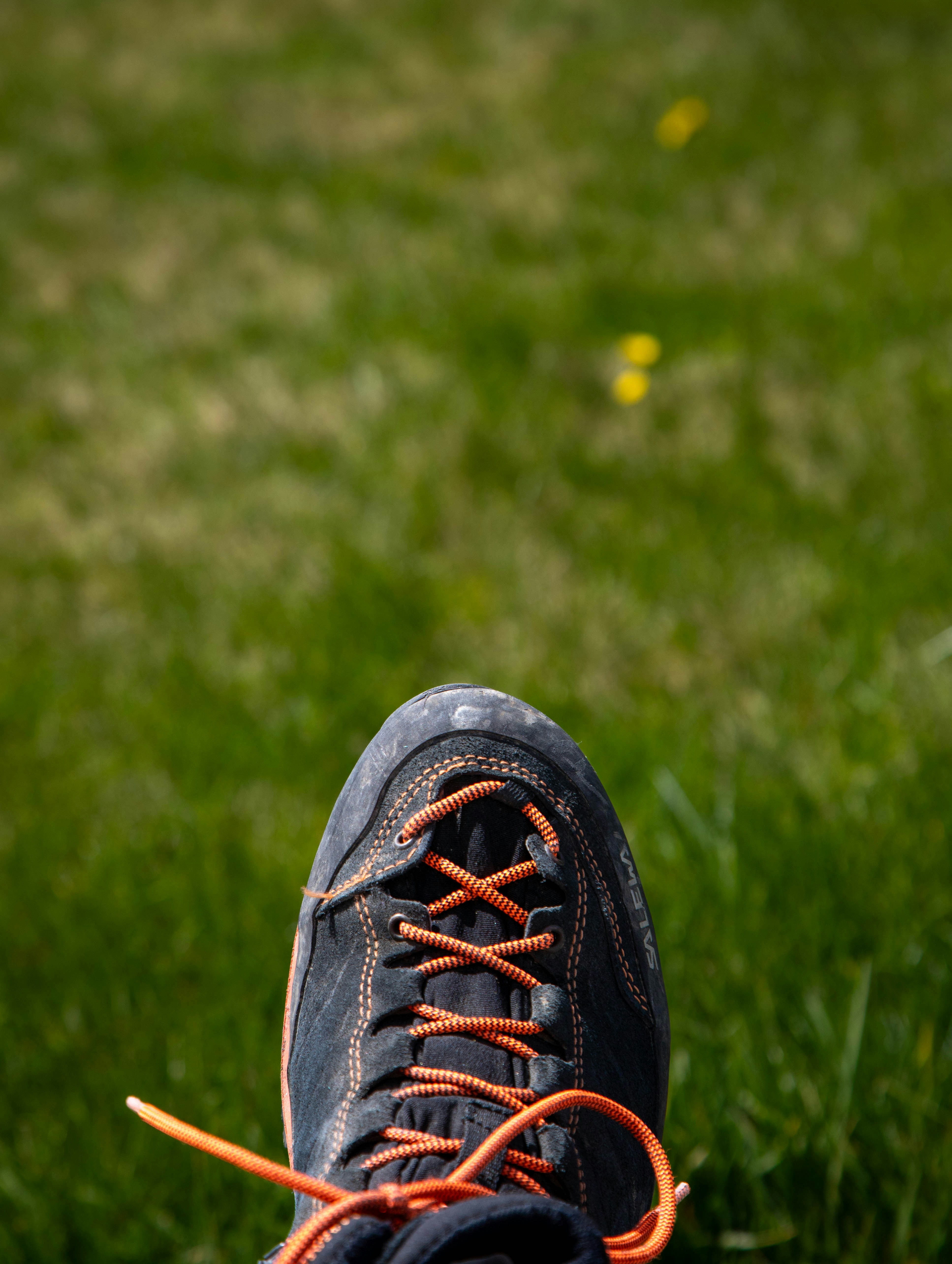 Grounded Adventure: A Step into Nature