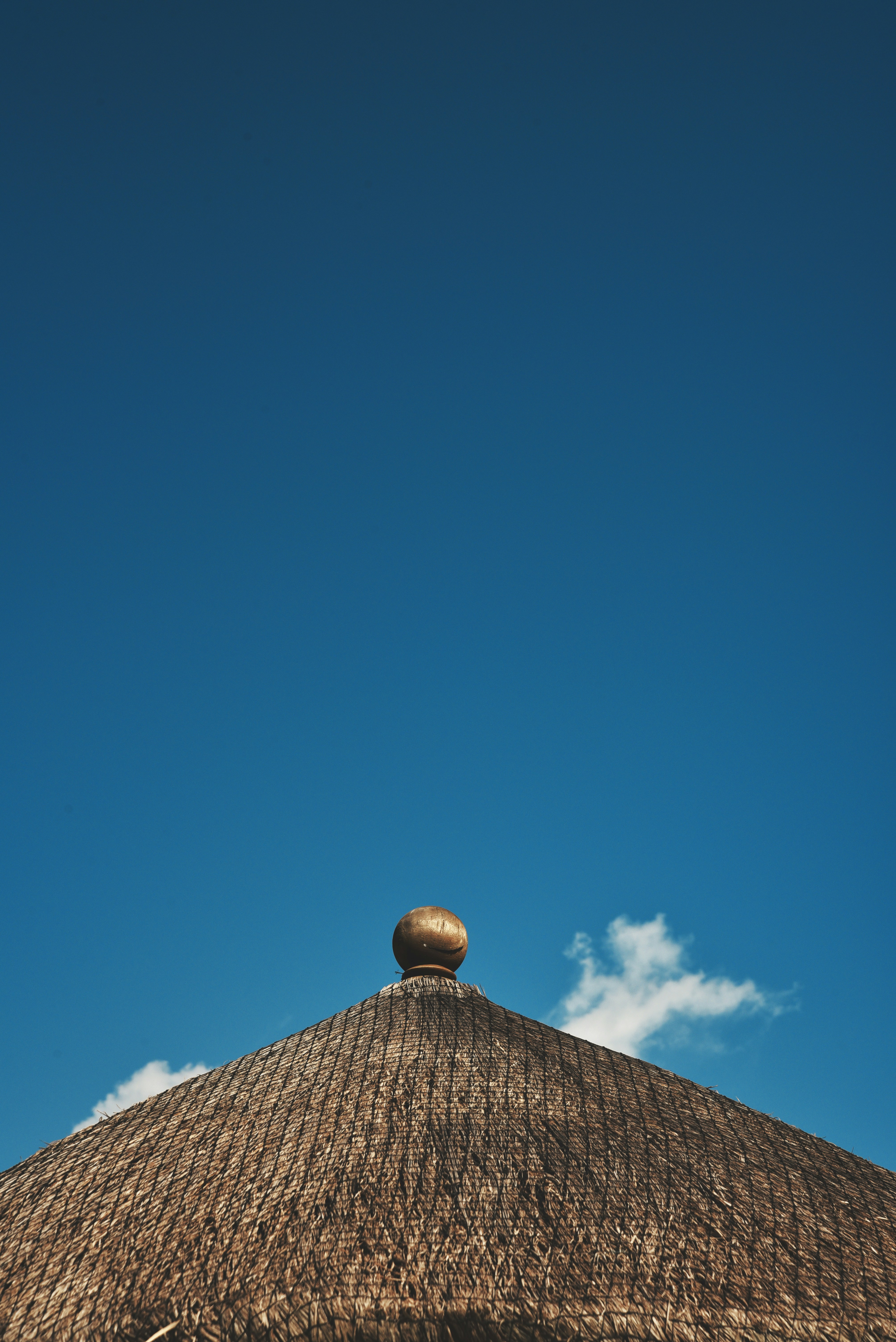 A Touch of Nature Beneath the Sky