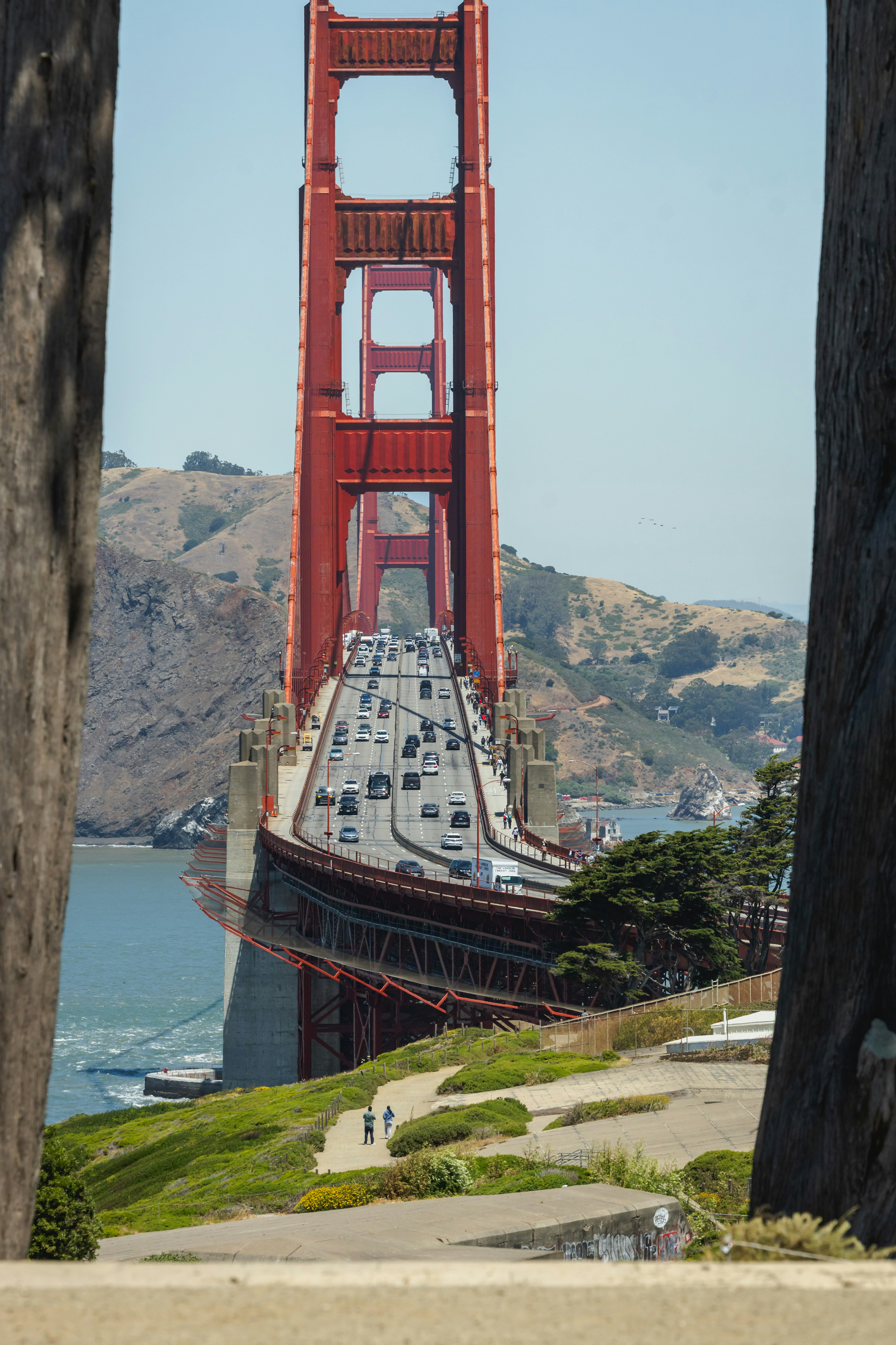 Golden Gate Bridge viewed through natural framing created by trees, showcasing traffic and the surrounding landscape.