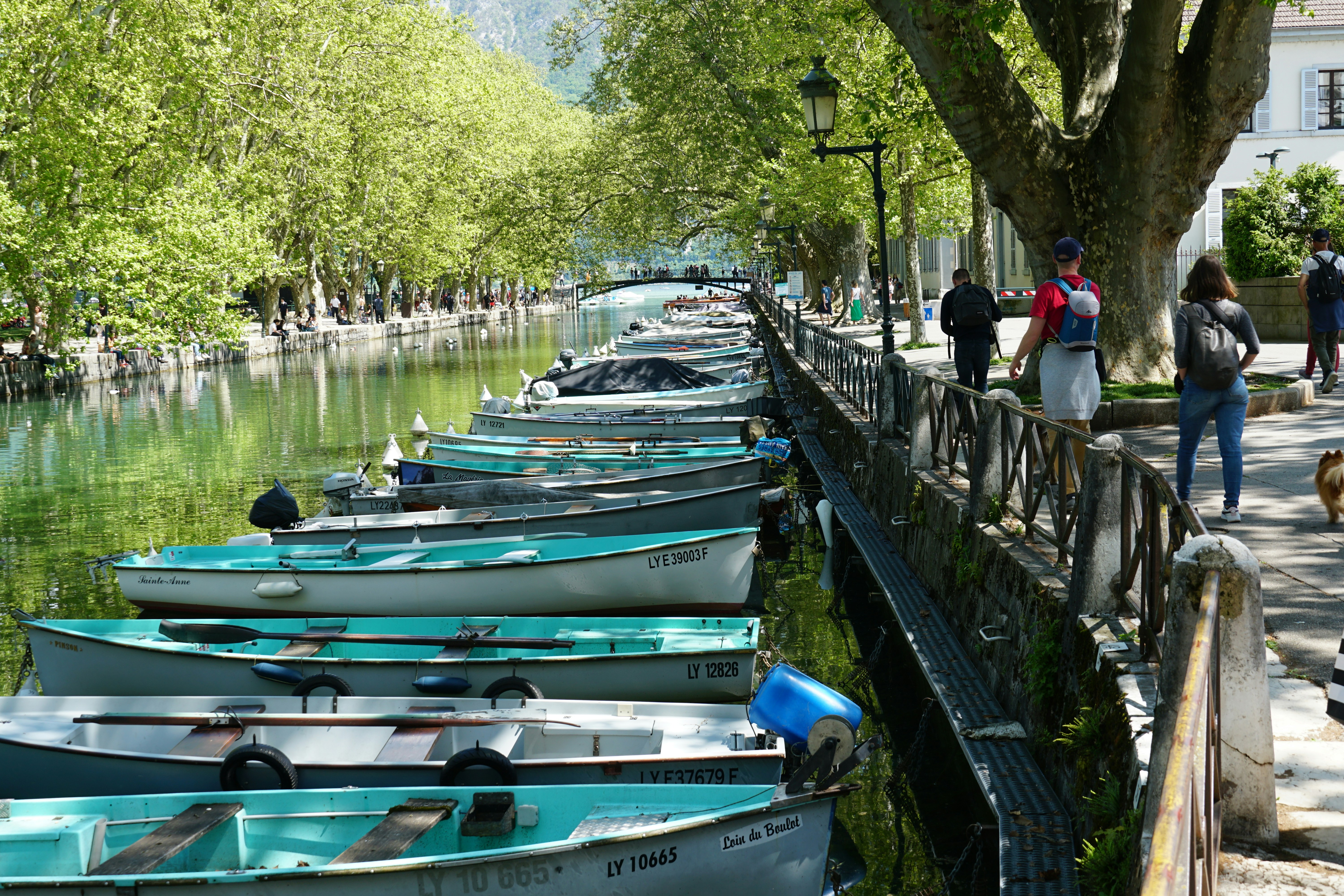 Rowboats lined up along a tranquil canal, surrounded by lush greenery and a leisurely path for pedestrians. The scene evokes a peaceful afternoon by the water.