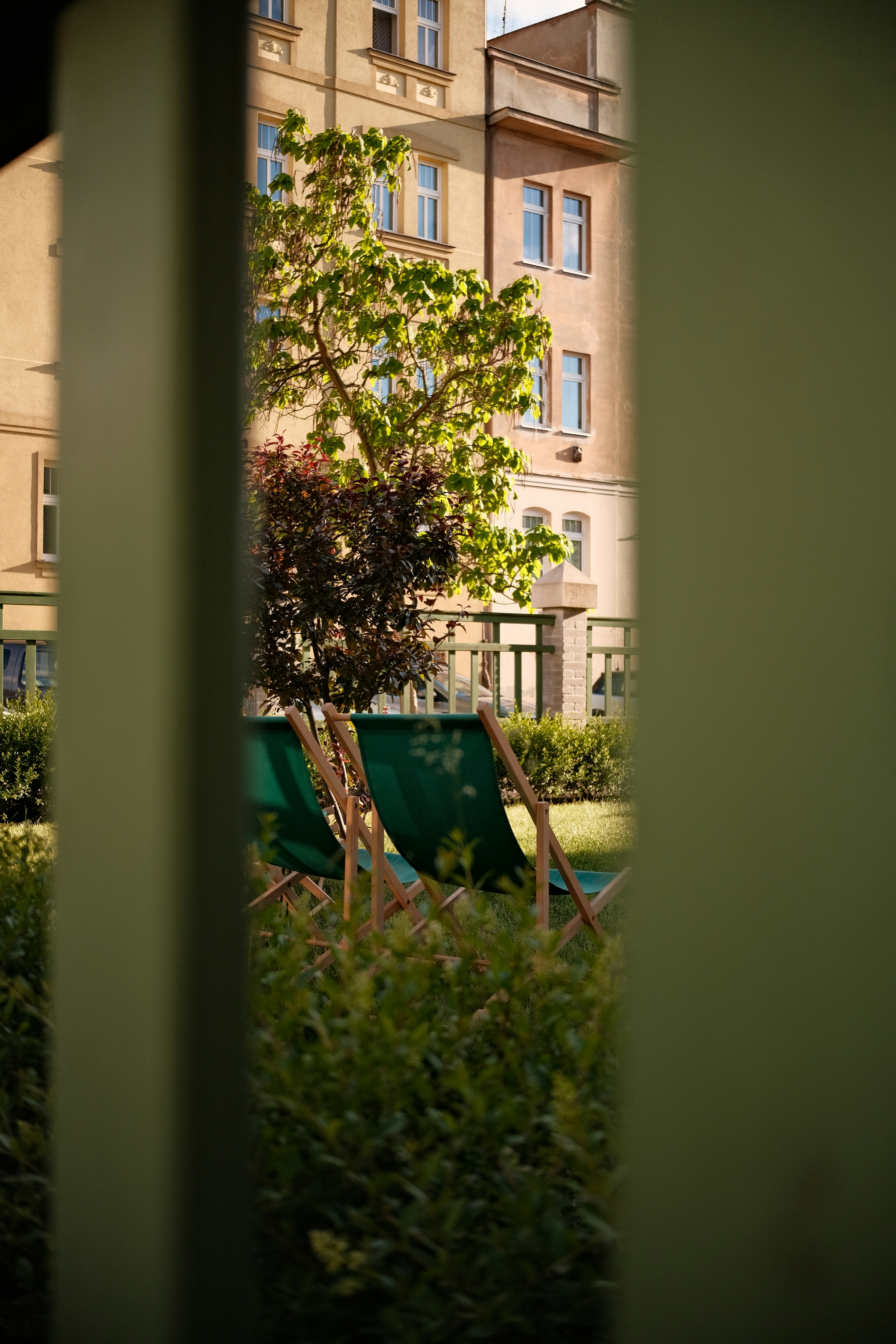 Framed in the Courtyard: Green Deck Chairs and Sunlit Foliage