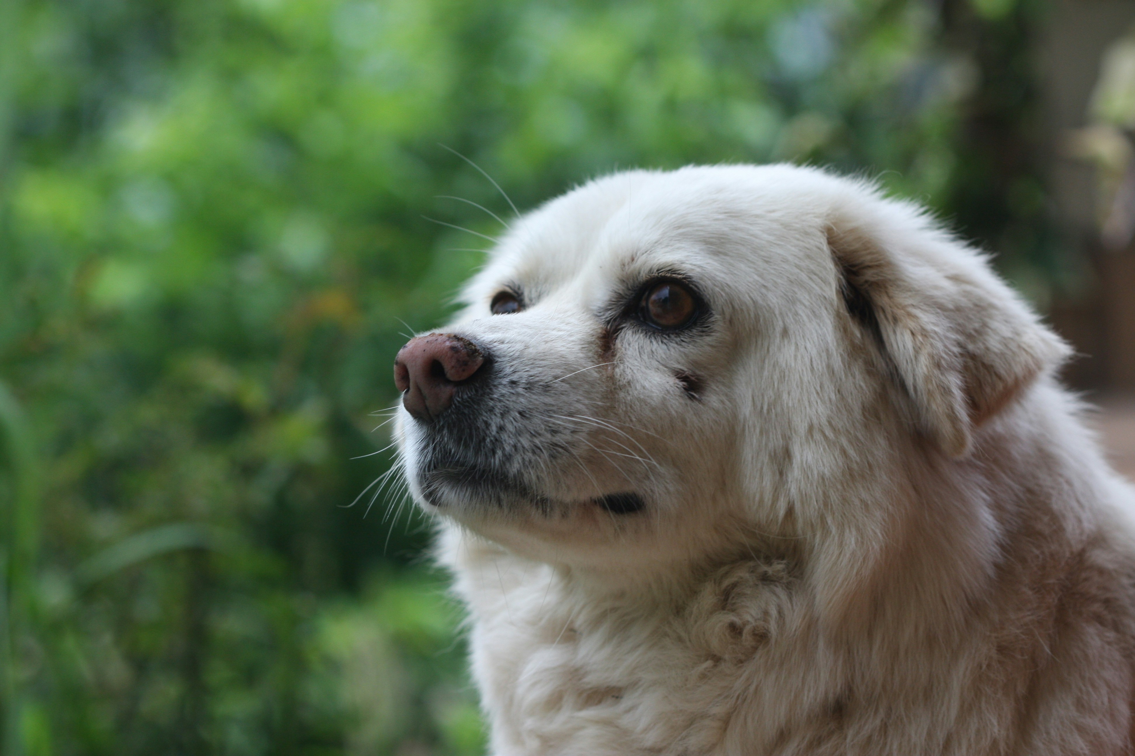 Suyash Batra (@suyashbatra) | Comunidade de fotos da Unsplash