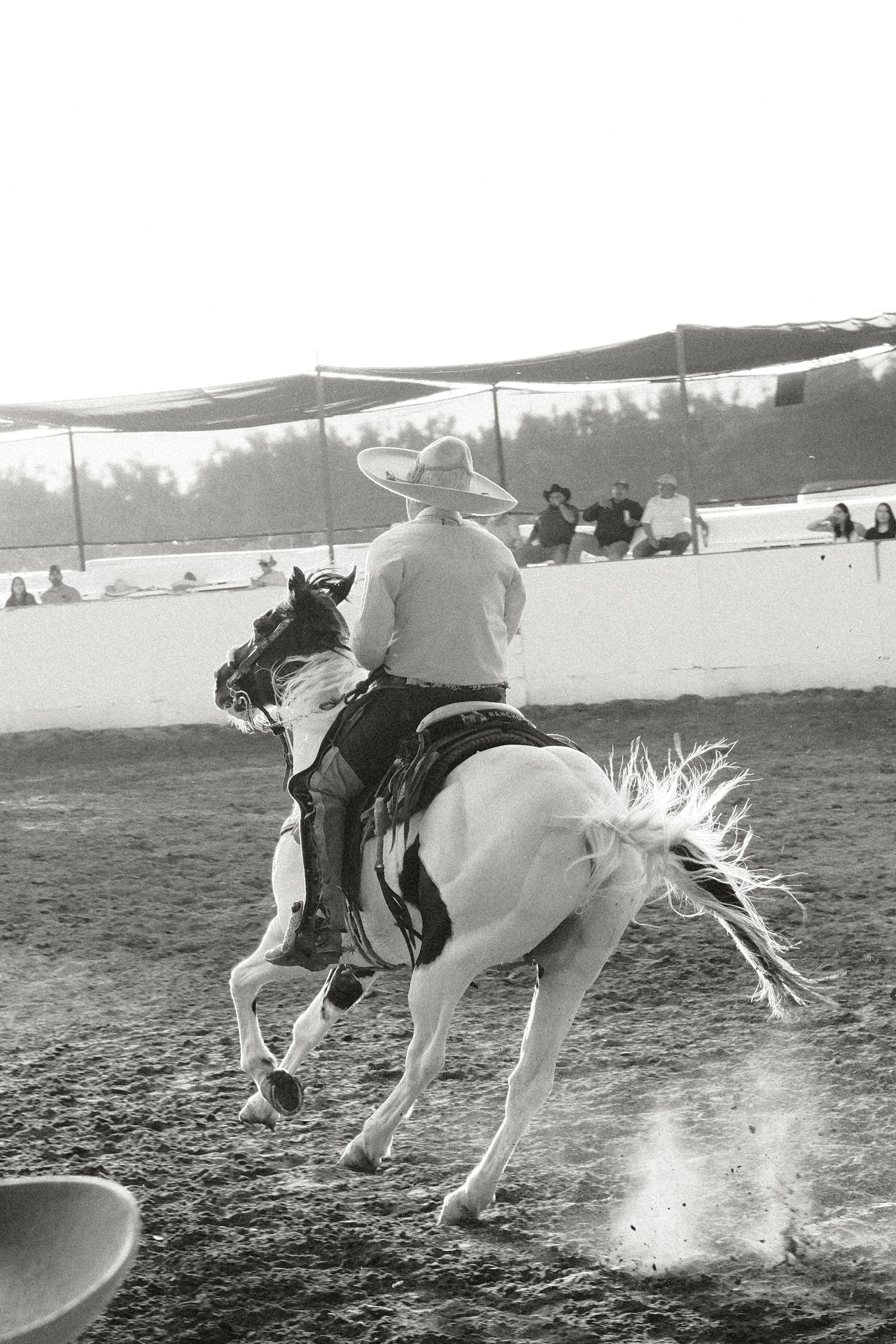 Dust, Hooves, and a Wide-Brim: Lone Rider on a White Horse in the Arena