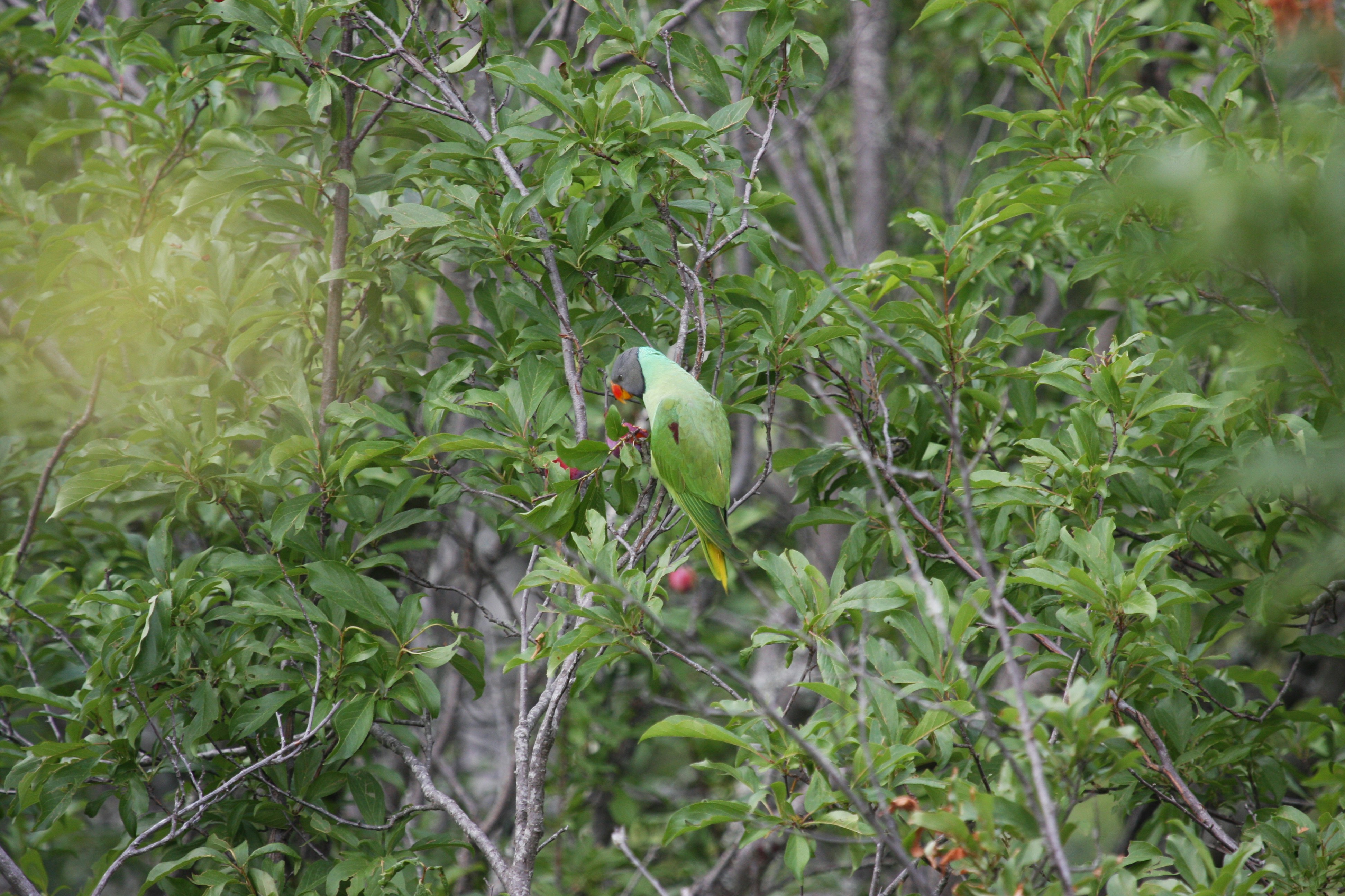 Photo by Suyash Batra with Canon EOS 40D