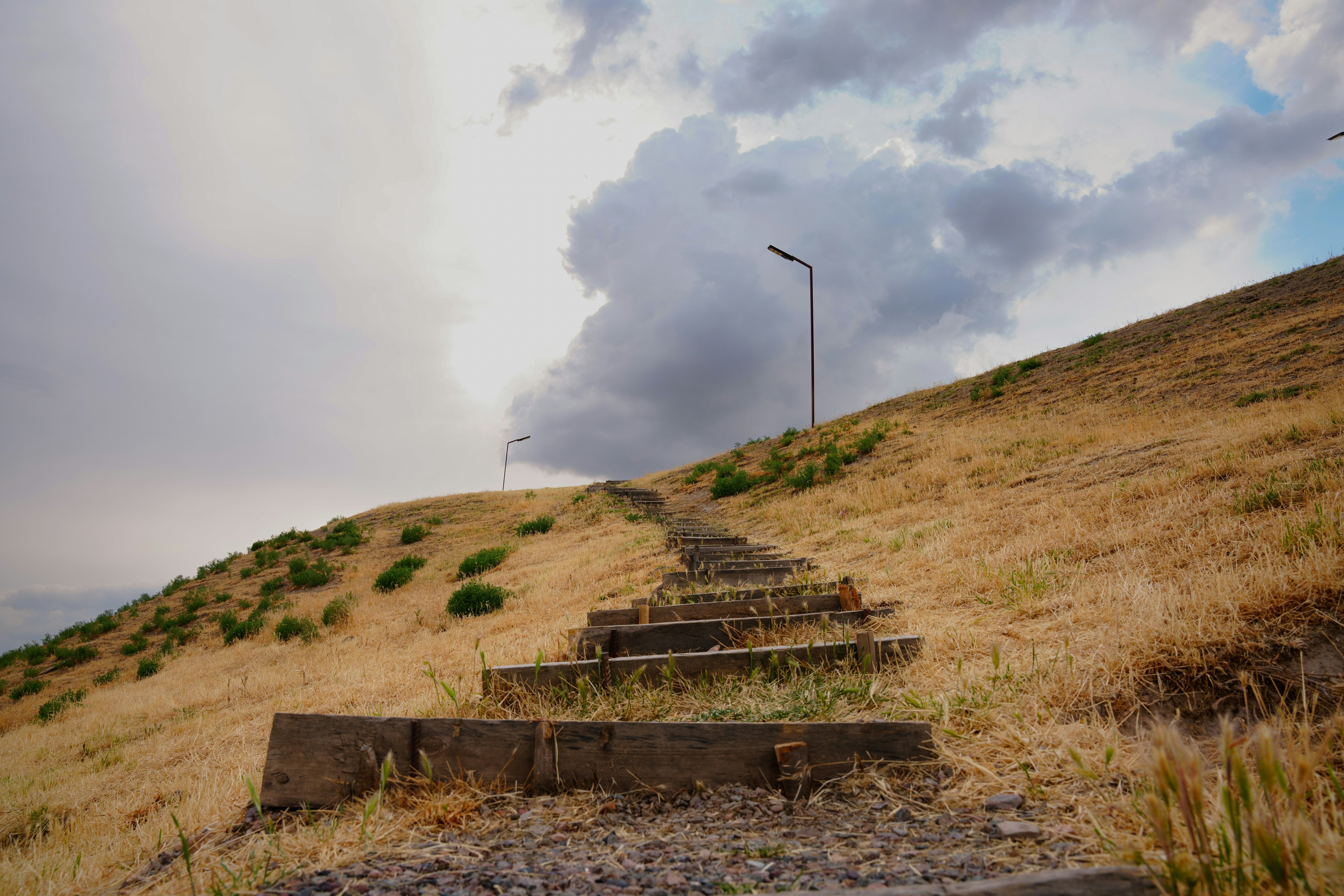 Pathway to the Horizon: A Journey Through Nature's Palette