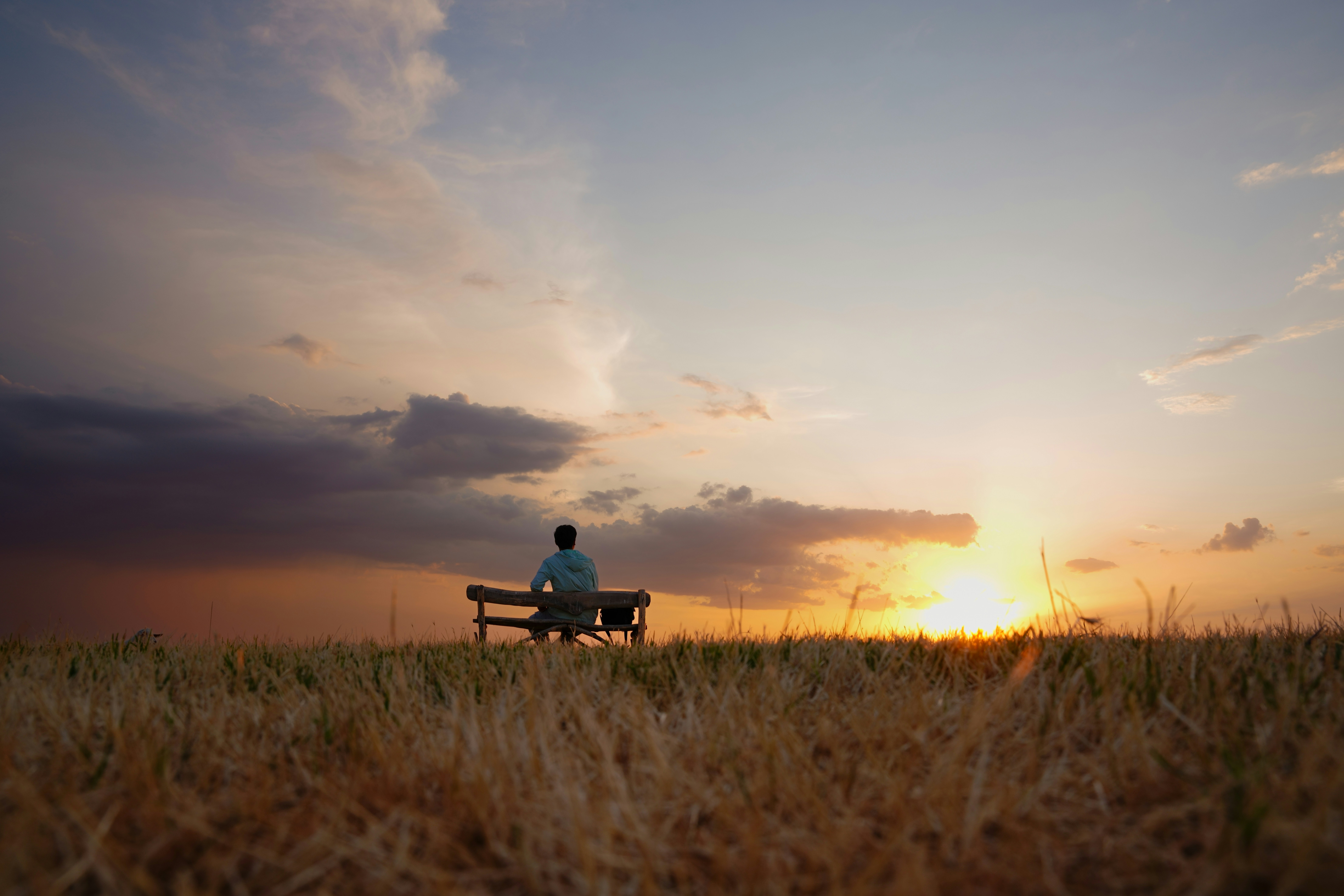 A person sits on a bench watching the sunset. photo – Free Wallpaper ...