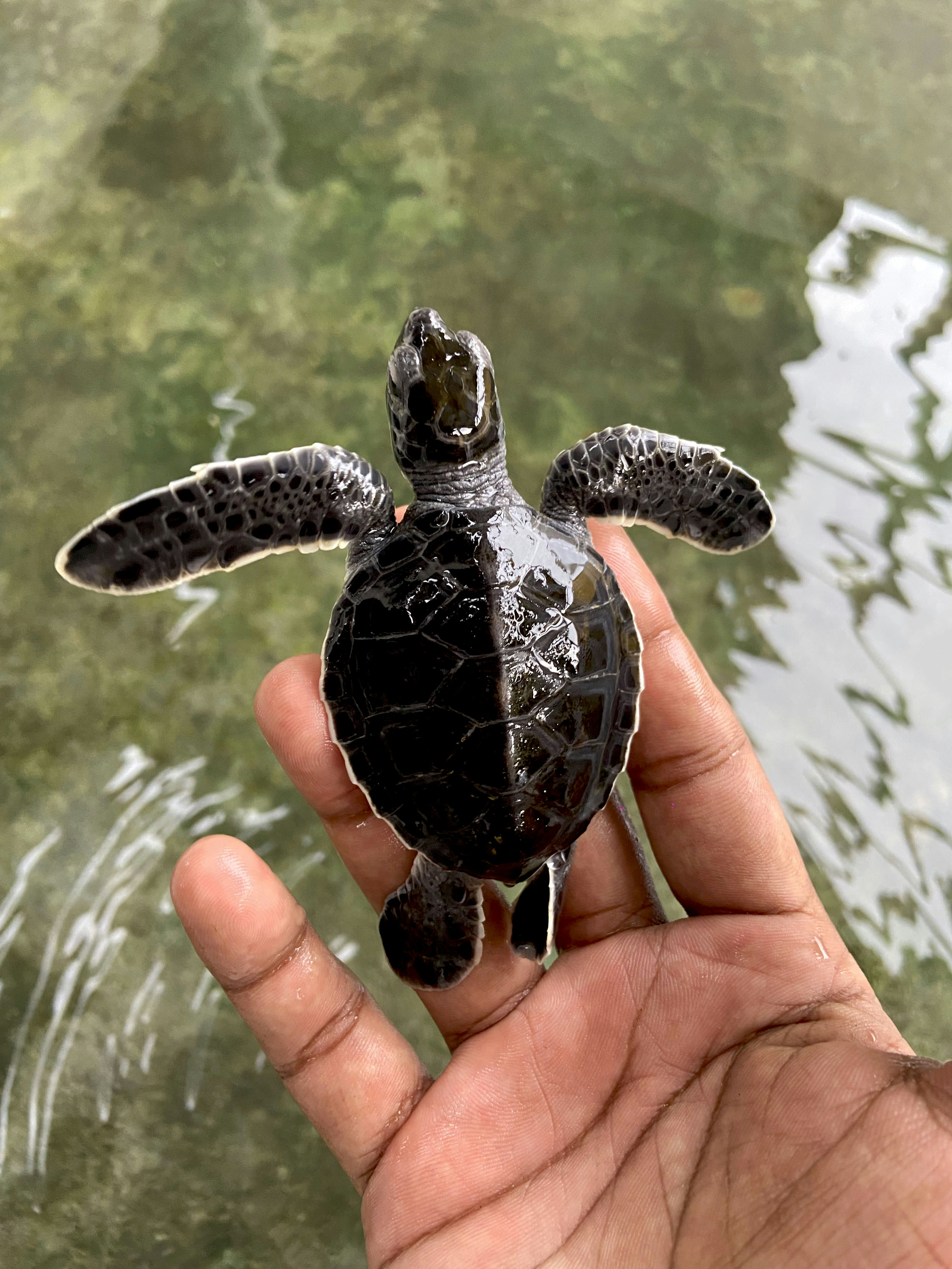 Indula Chanaka (@indulachanaka) | Unsplashフォトコミュニティ