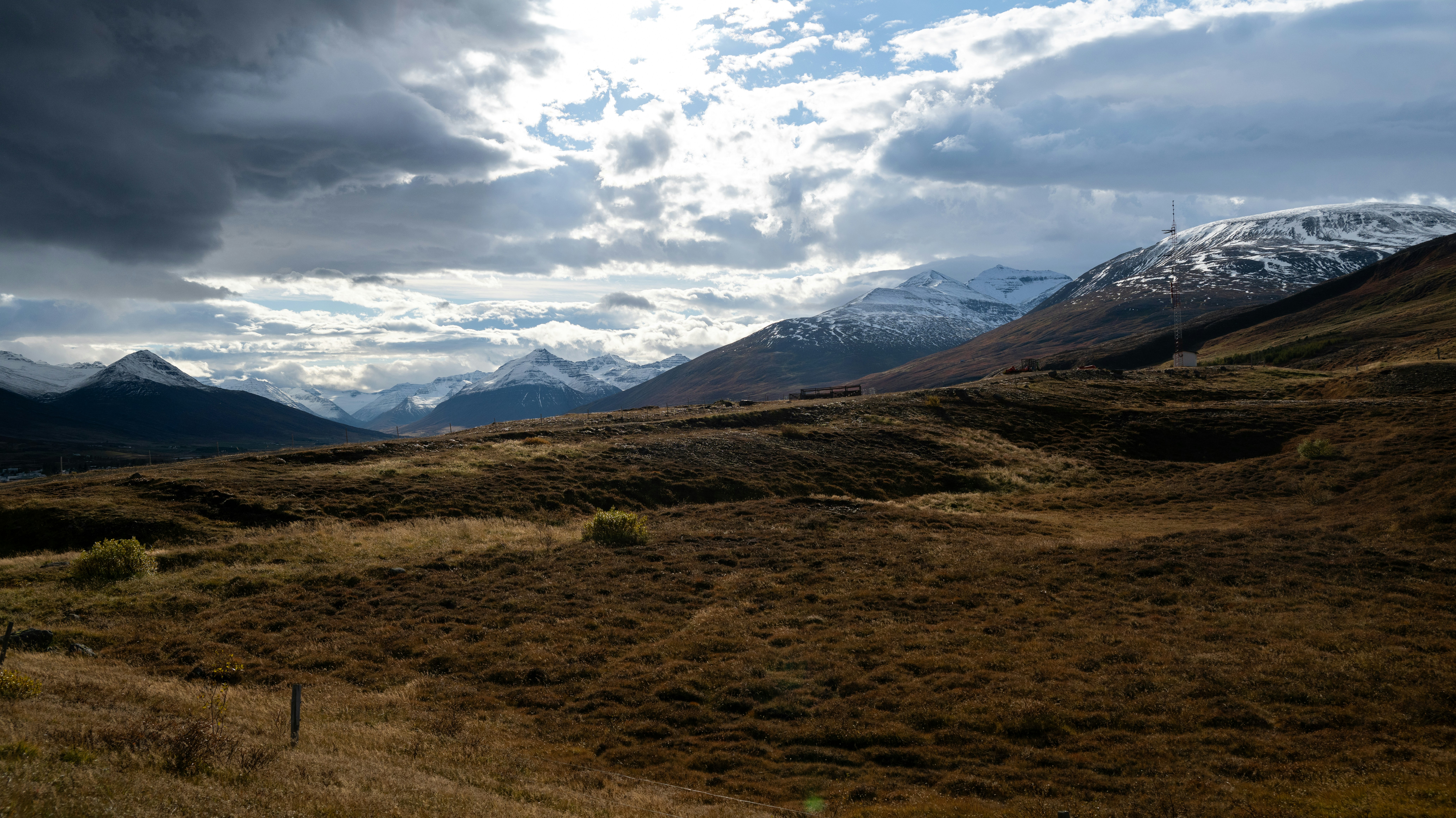 Photo by SOHAM BANERJEE with Nikon Z8