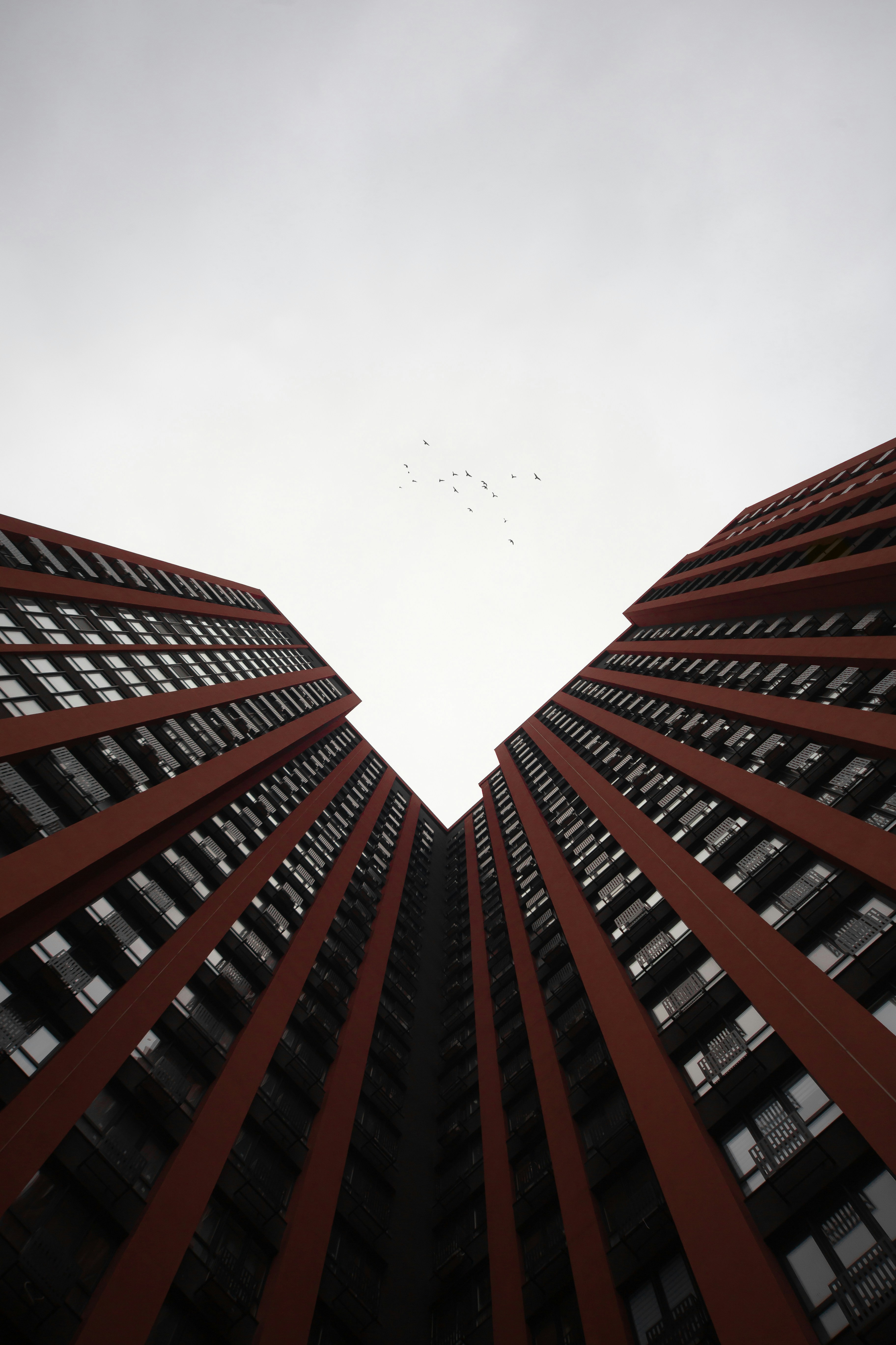 V Between Red Facades: Skyward Convergence