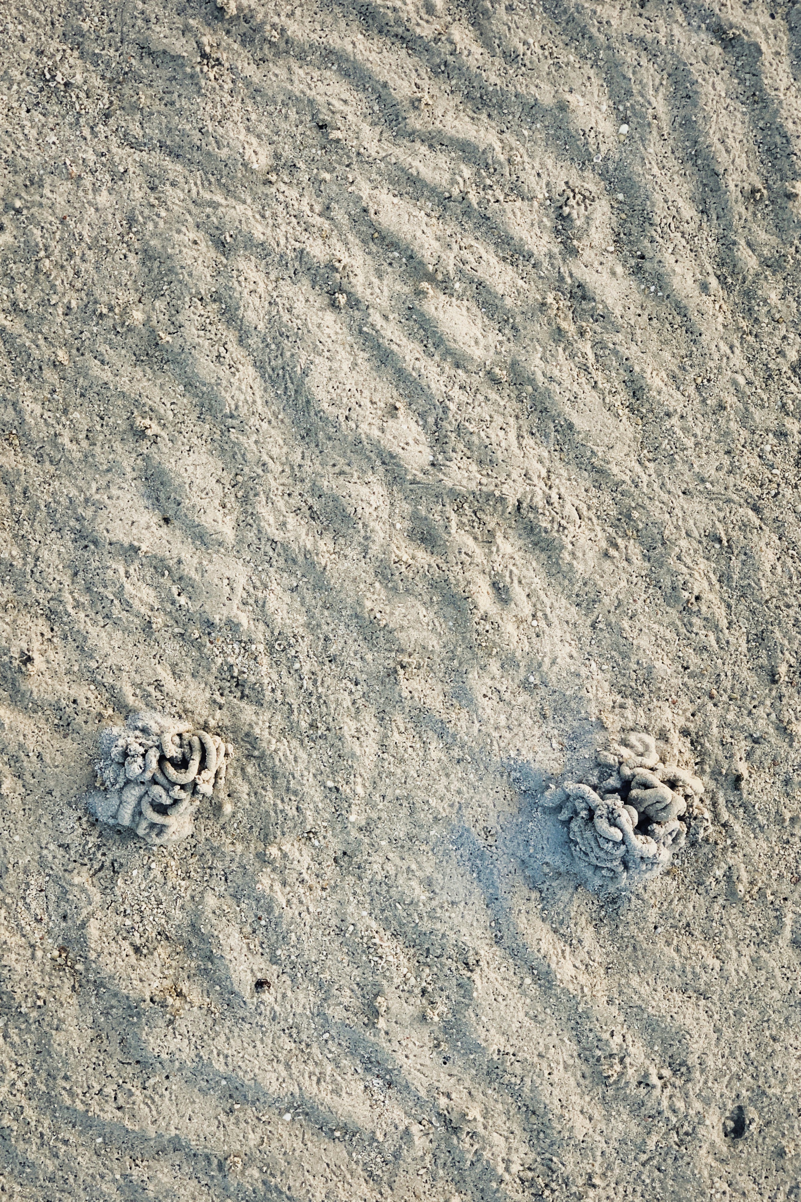 Two unique formations emerge from the sandy ground, revealing nature's artistry in texture and form. The rippled sand adds depth to the scene.