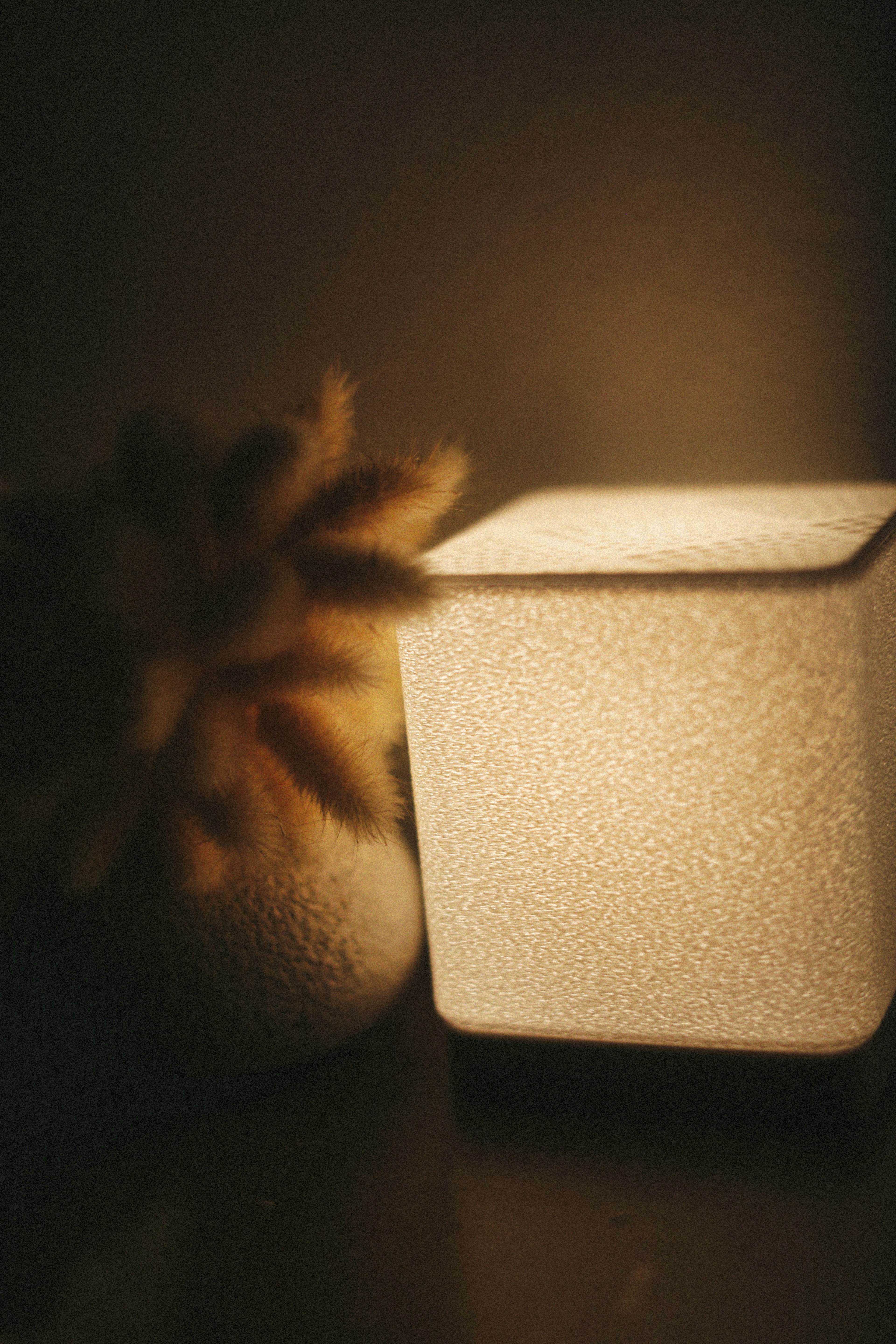 Illuminated Serenity: A Cozy Corner