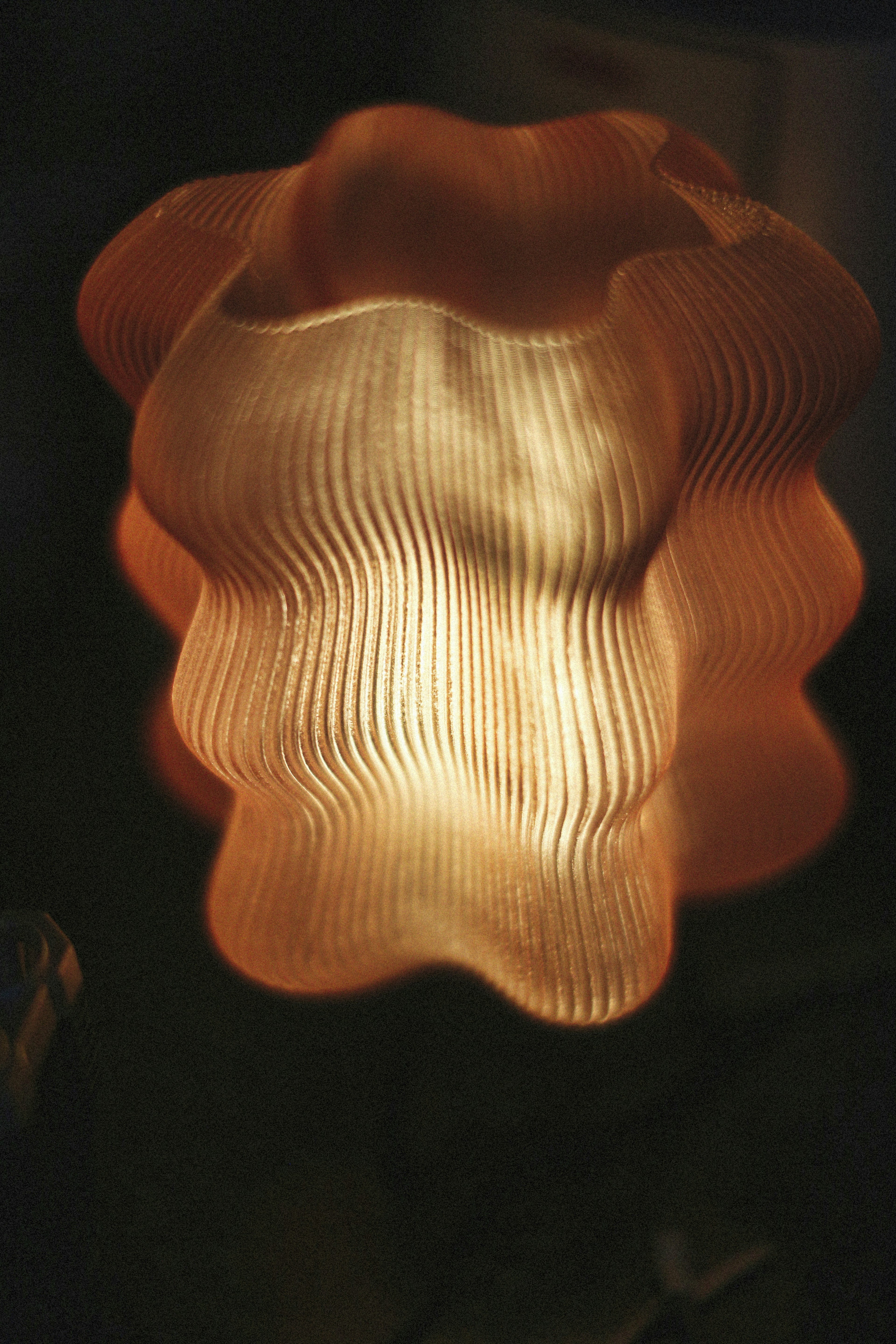 Copper Ribbon Bloom: A Soft, Fractal Glow in Motion