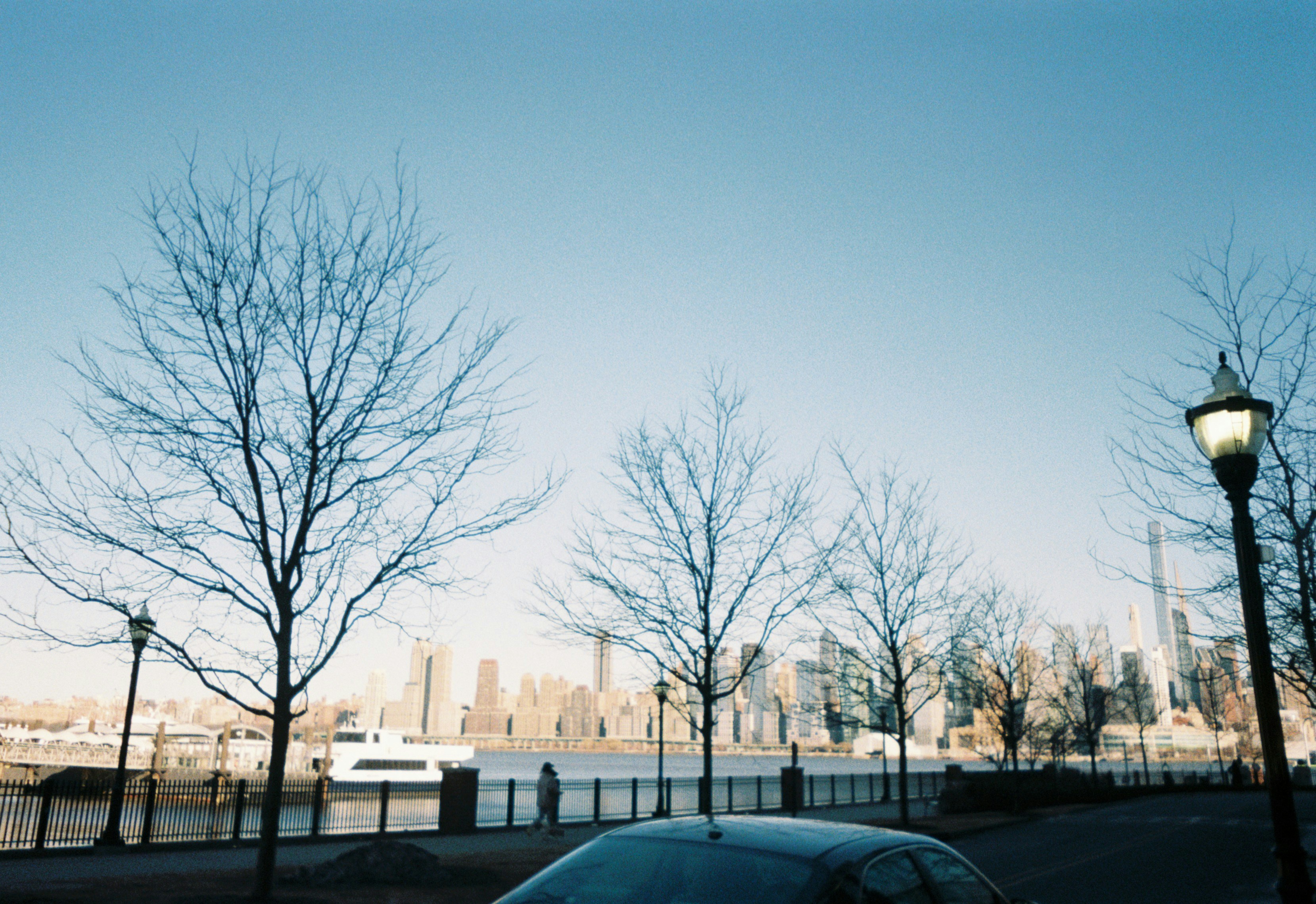 Urban Serenity: A Winter's Glimpse of the Skyline