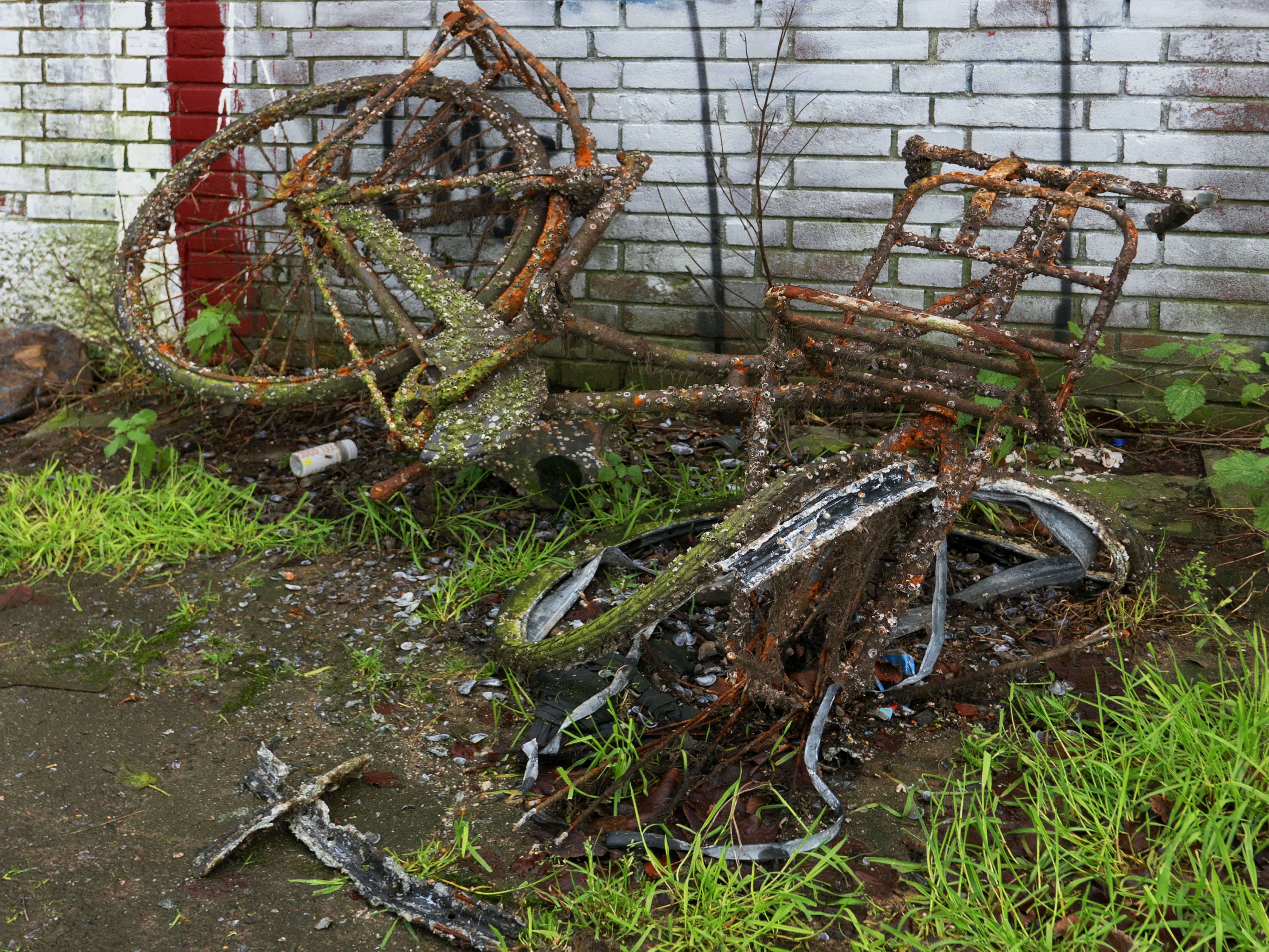 A rusted bike lies abandoned on the ground. photo – Free Free images ...