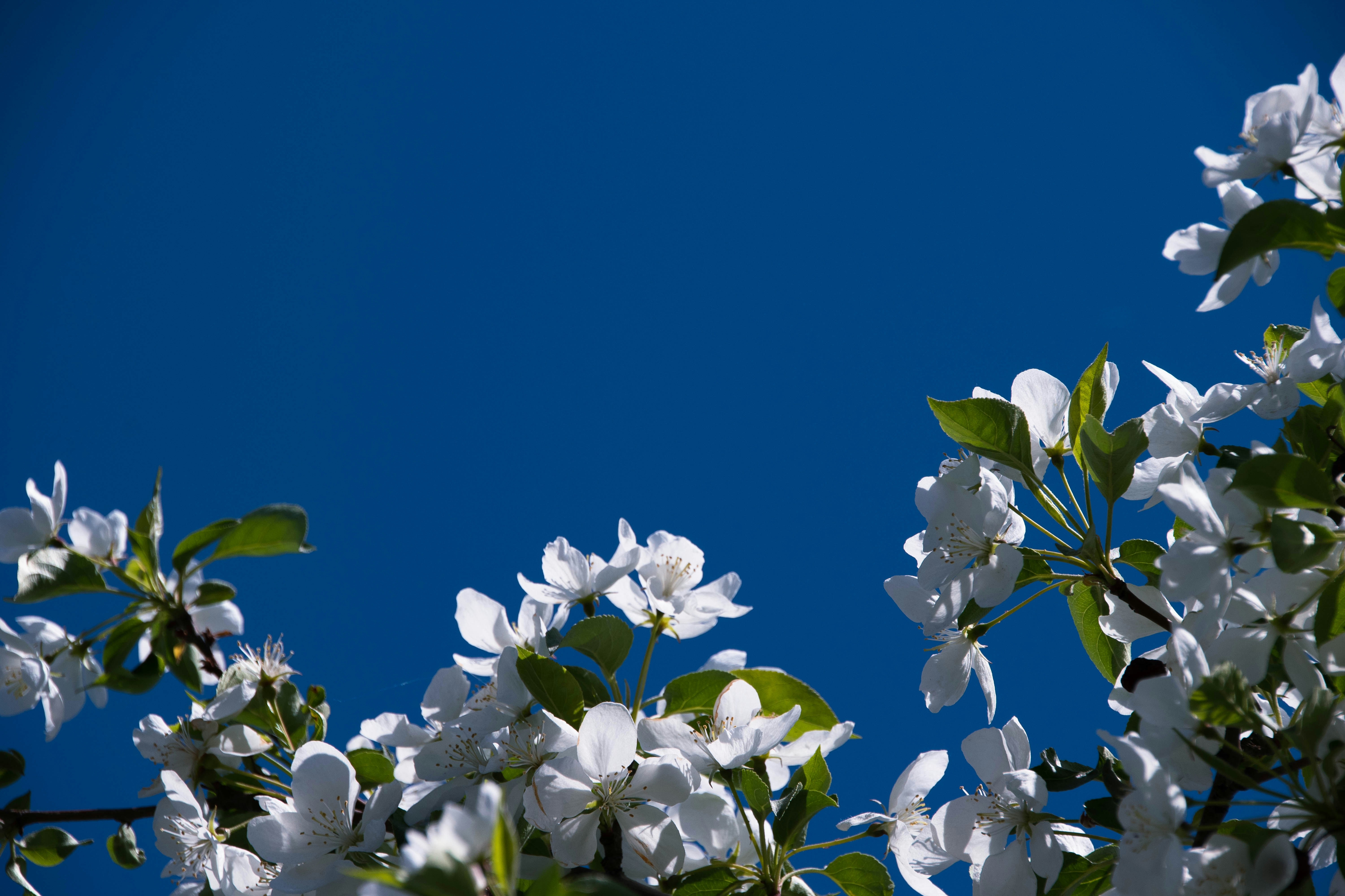 Photo by @mintolime with Nikon D5600