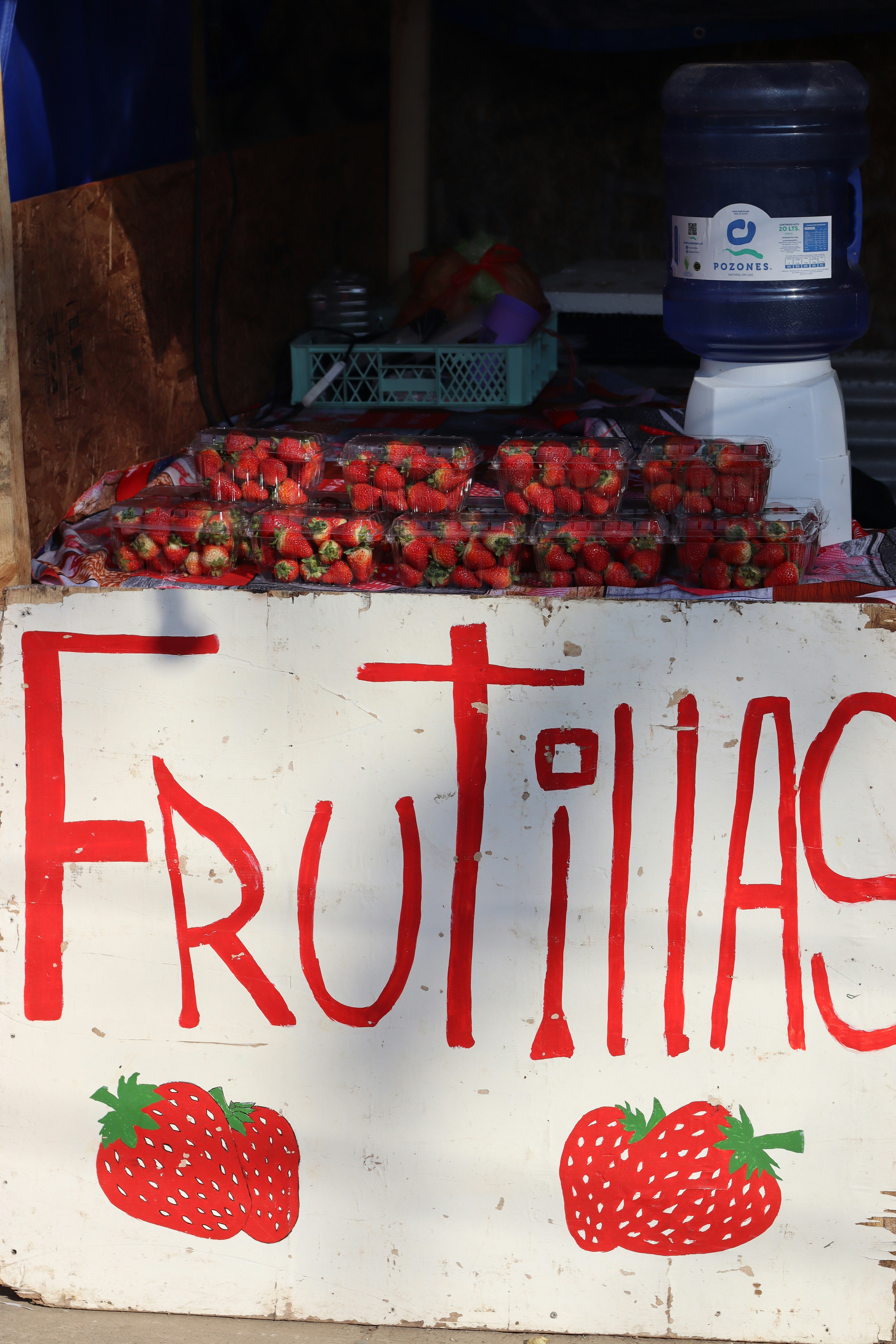 Photo by Rodrigo Araya with Canon EOS 850D