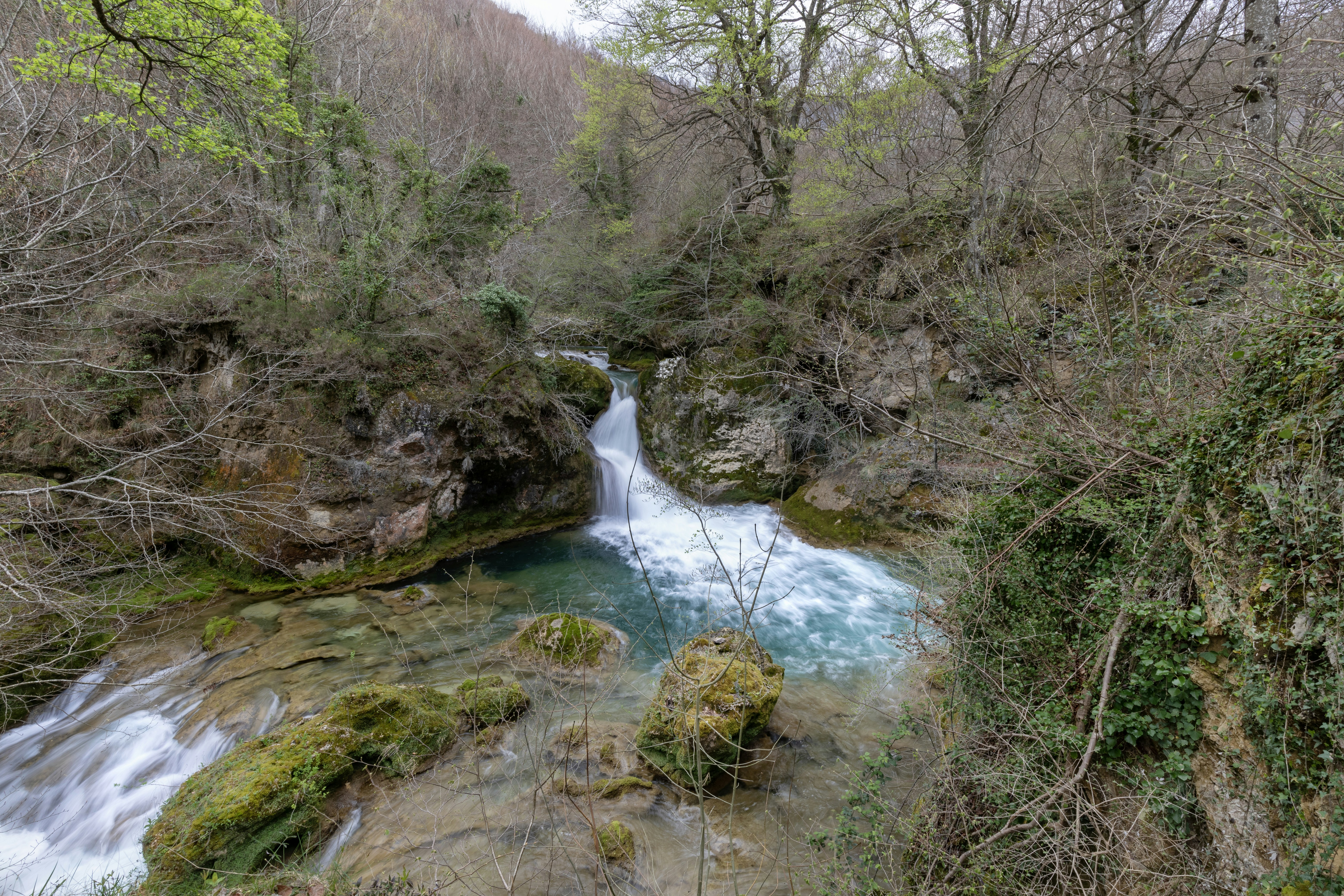 Moonlit Cascade: A Mossy Channel Through Winter Boughs