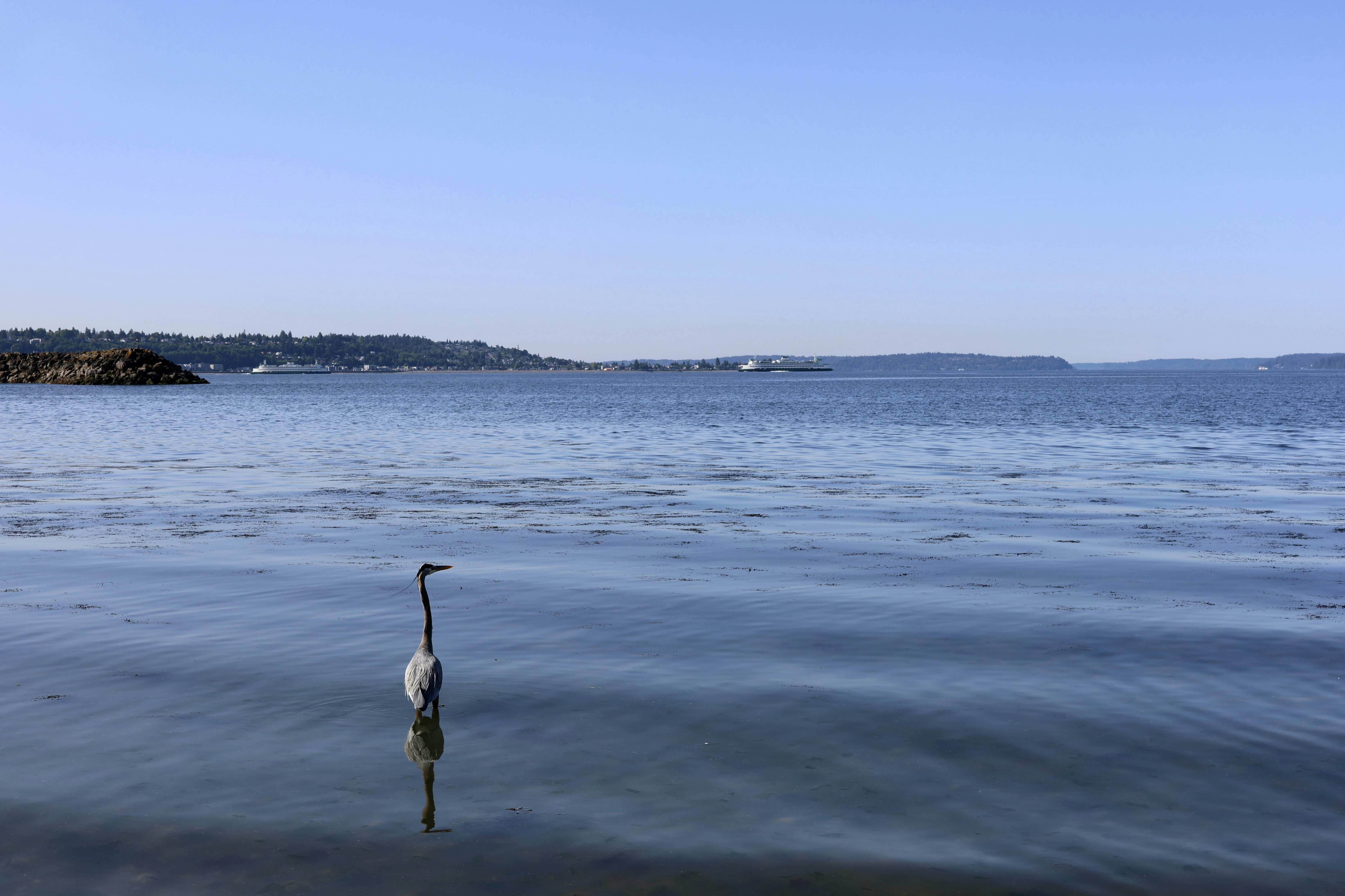 Serenity in Still Waters