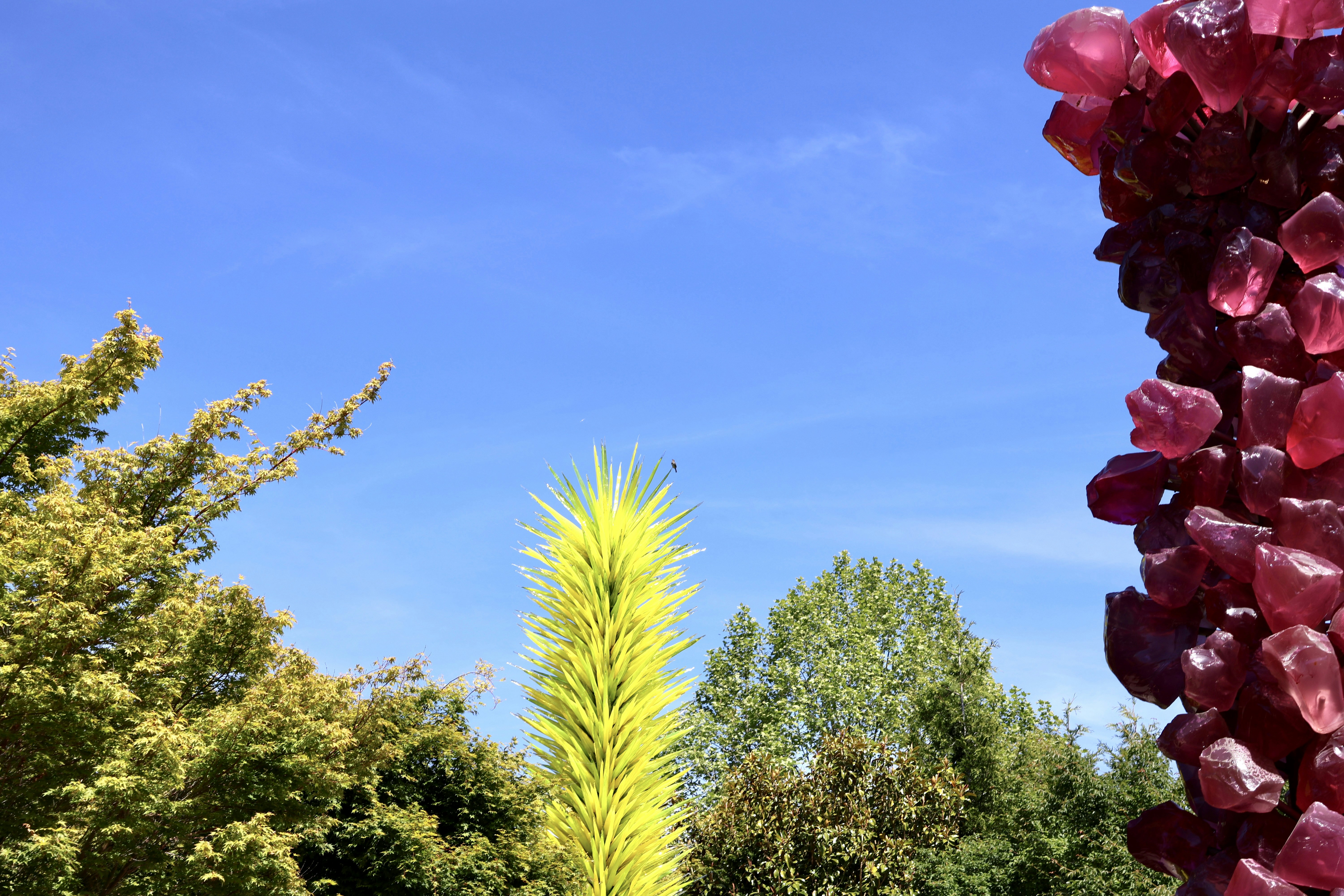 Neon Spire Against a Clear Sky: A Bright Garden Centerpiece