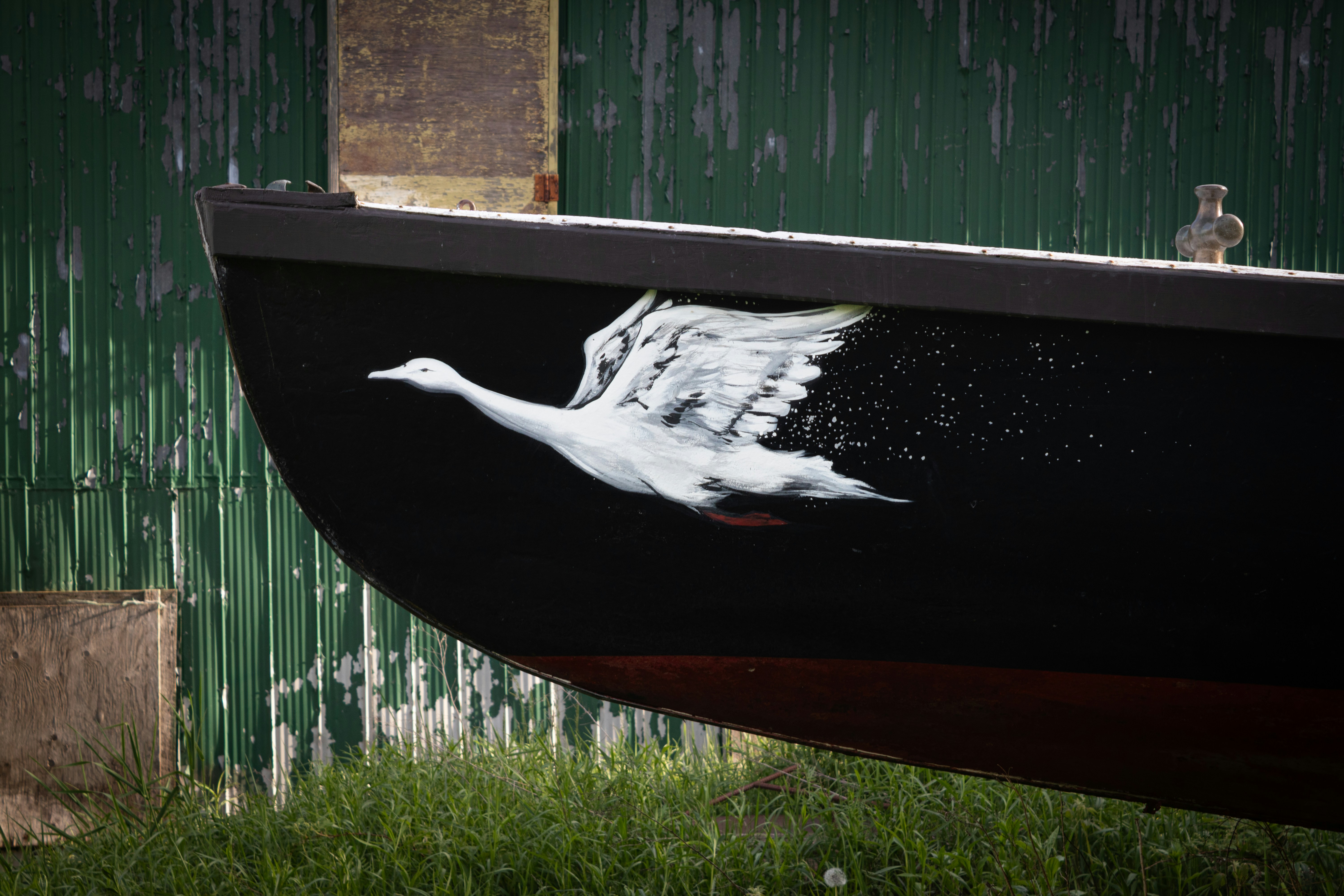 The Art of Flight: A Painted Tribute on Water